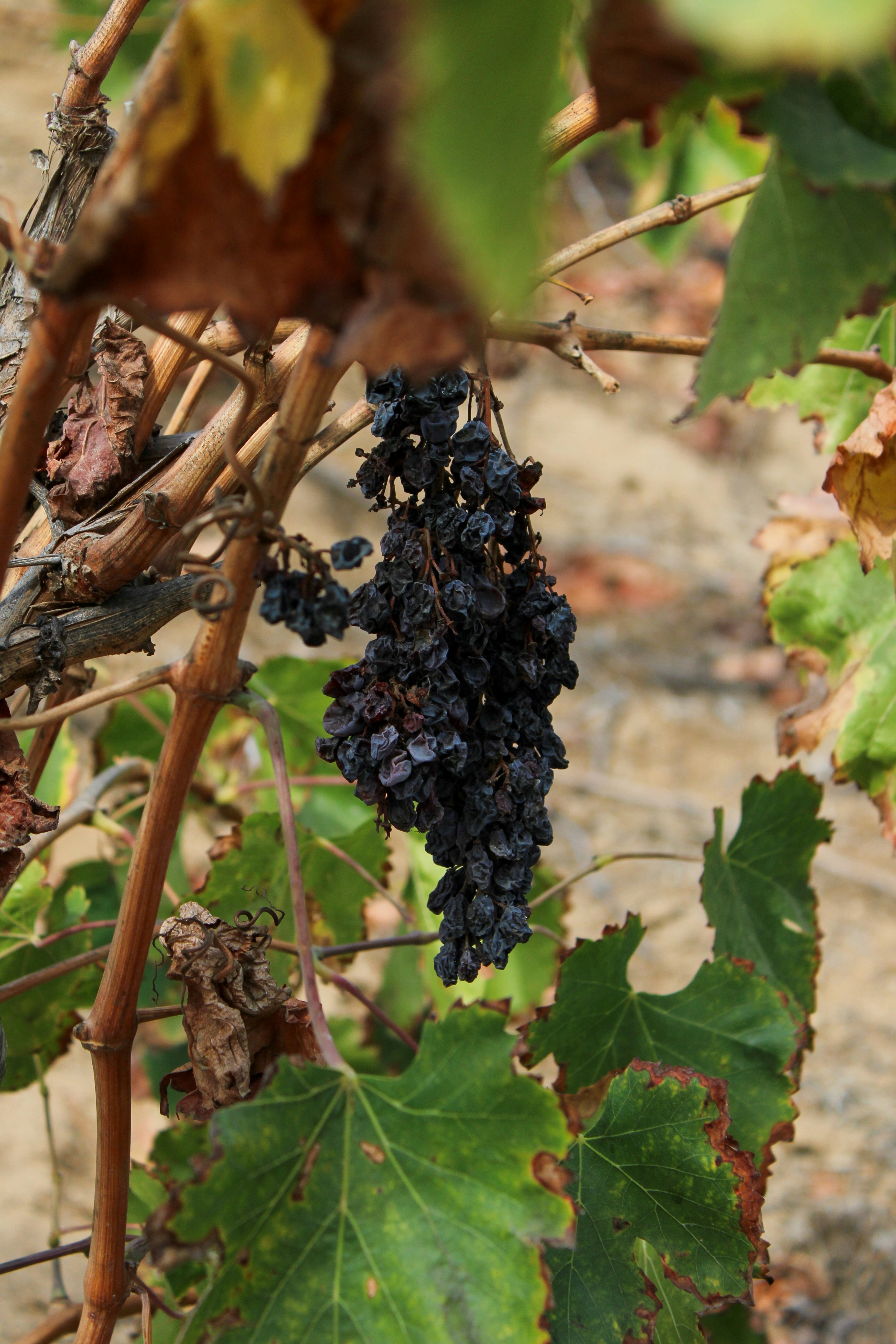 Photo by shawn kim with Canon EOS 2000D