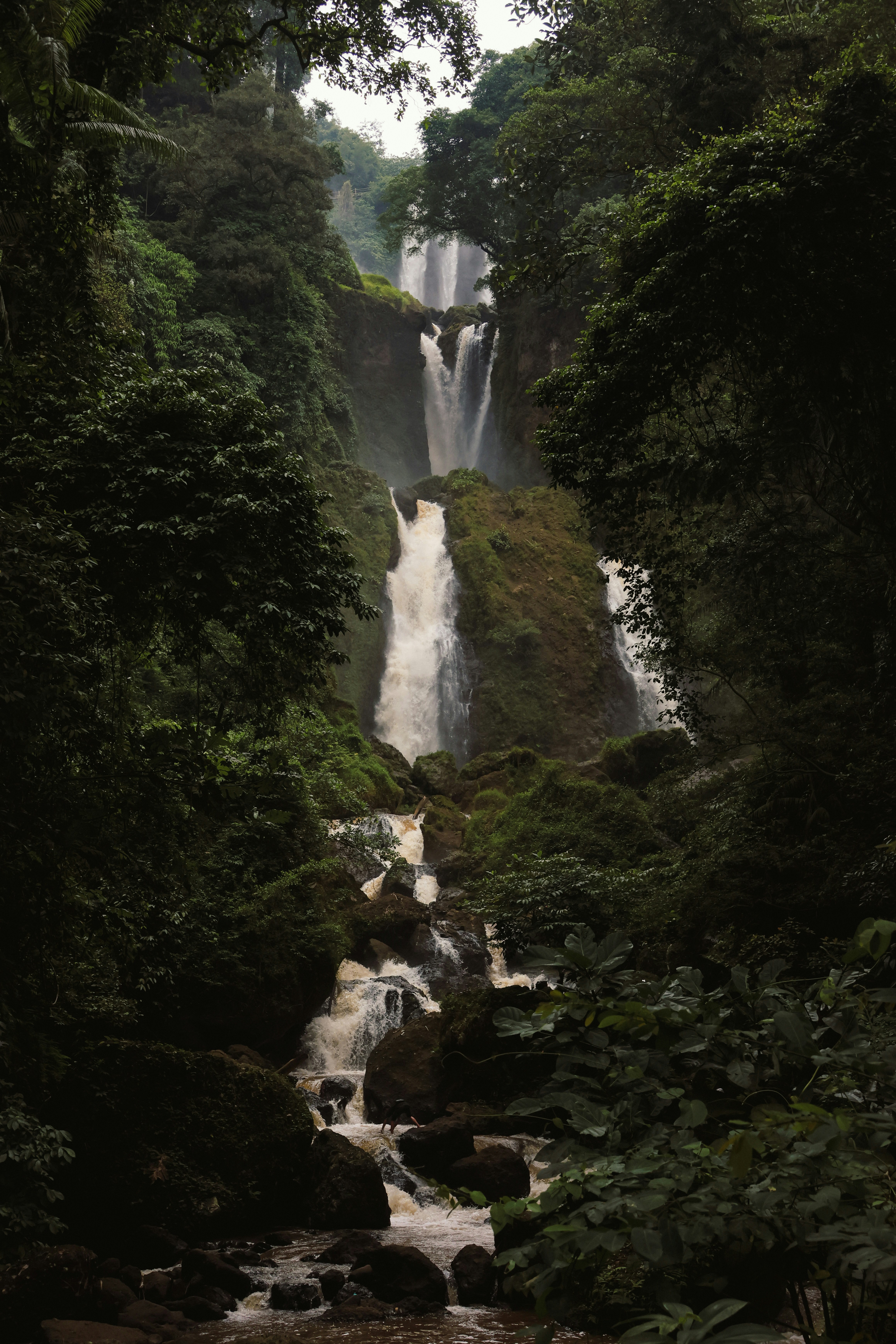 Cascade Veil: Moss-Cloaked Steps in a Forest Gorge