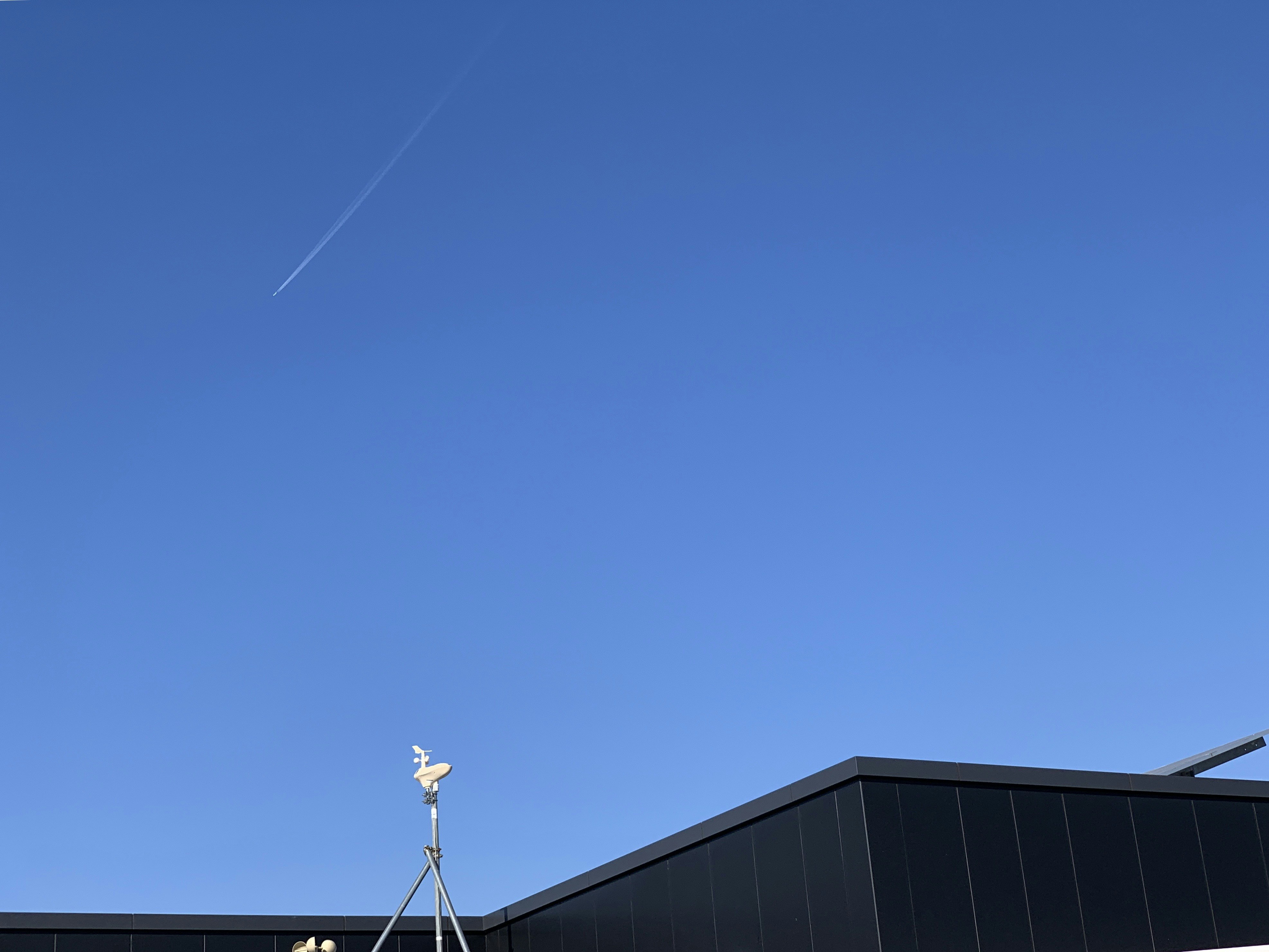 Photo by Vincent Wong with Apple iPhone XS