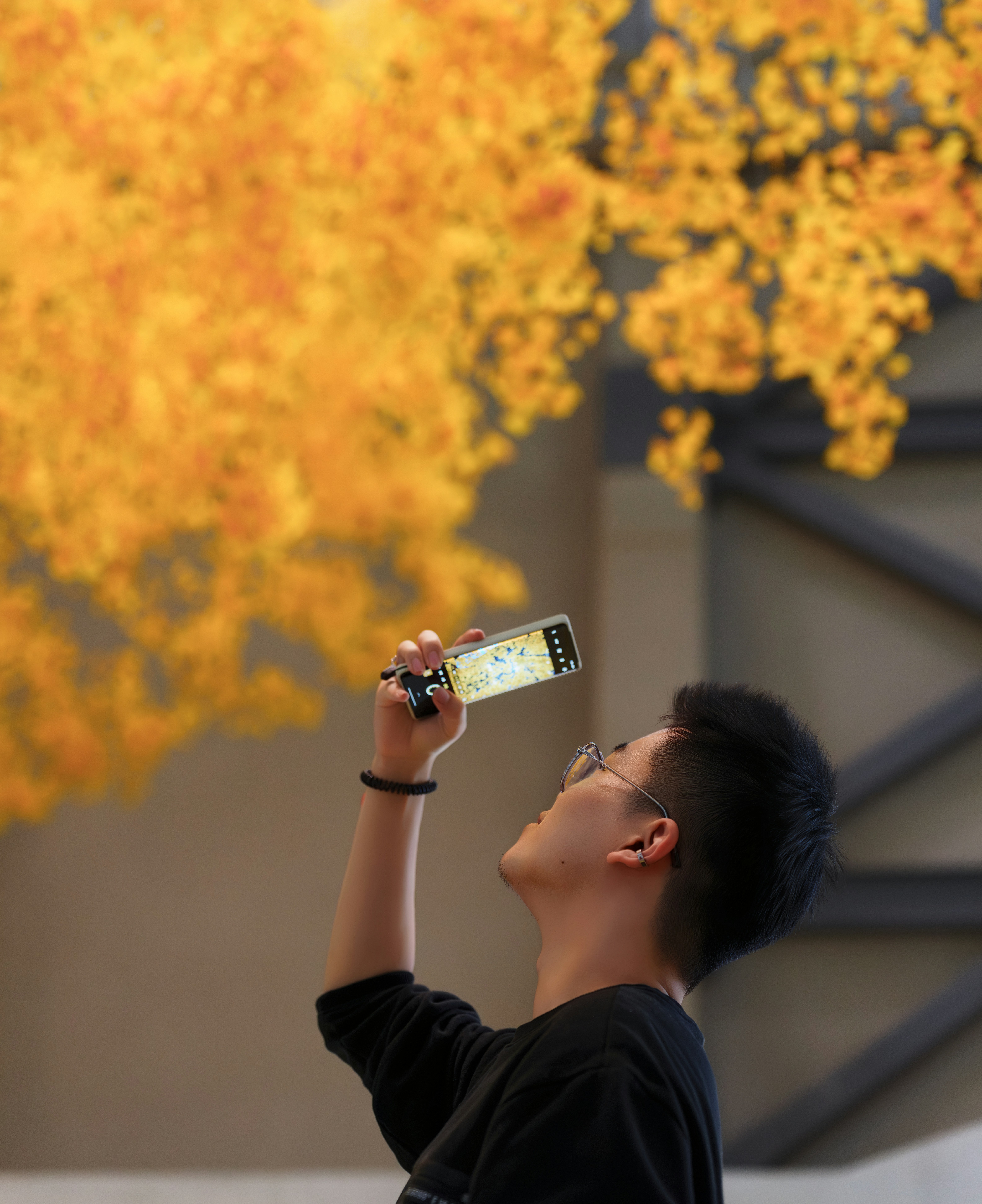 Golden Canopy Gaze: A Handheld Moment Under Autumn Leaves