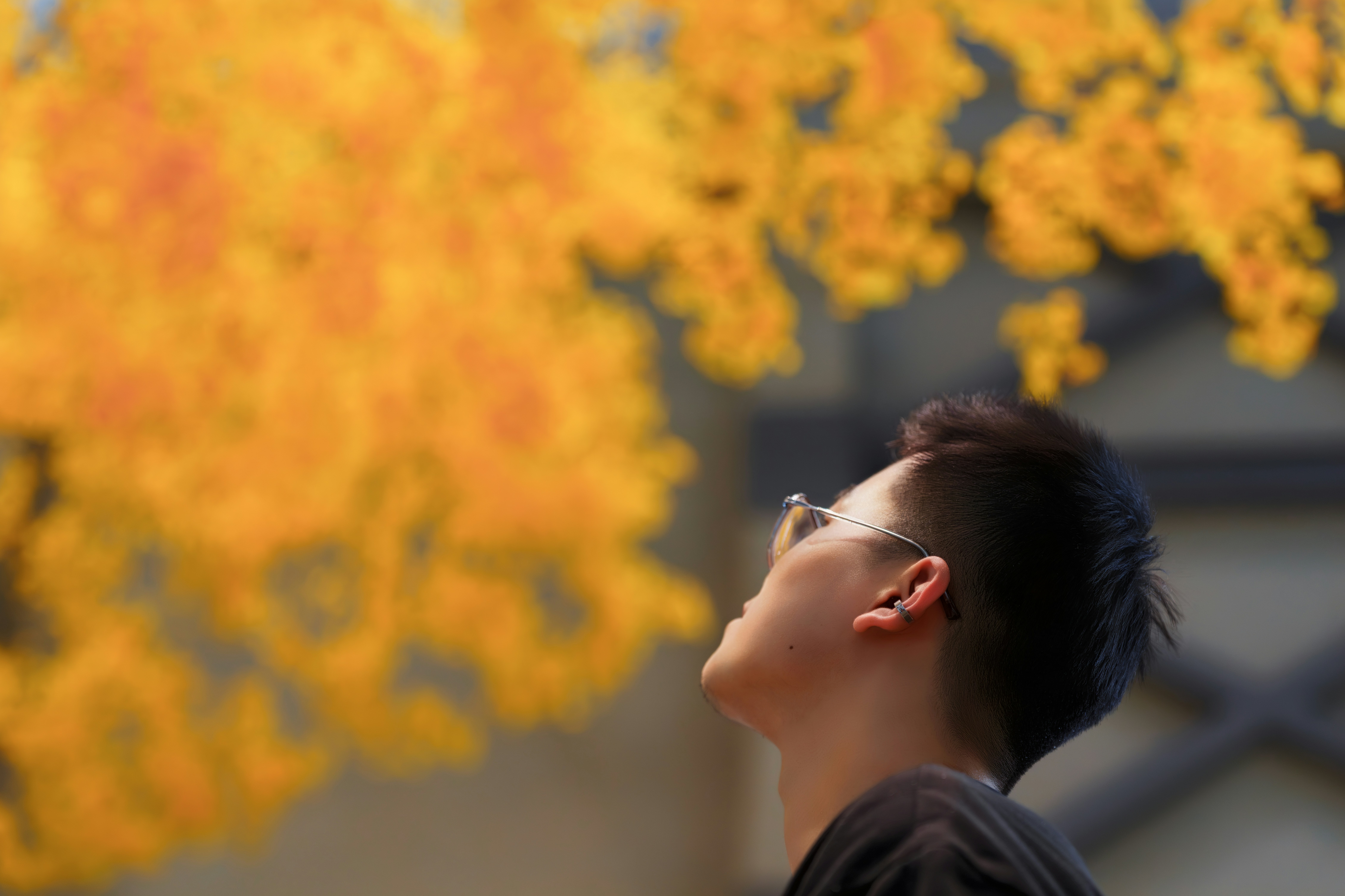 Photo by Declan Sun with Sony Alpha 7R V