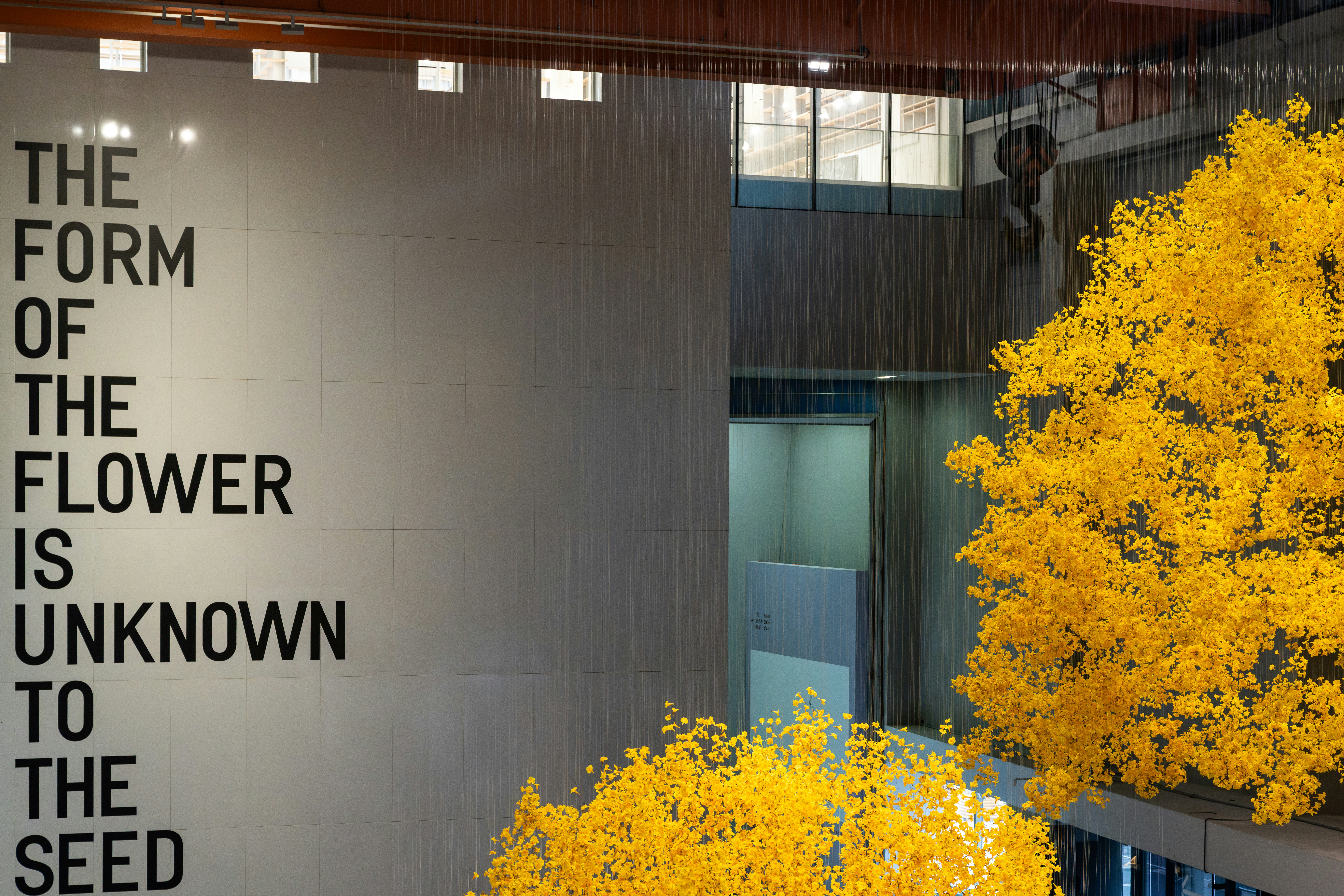 Photo by Declan Sun with Sony Alpha 7R V