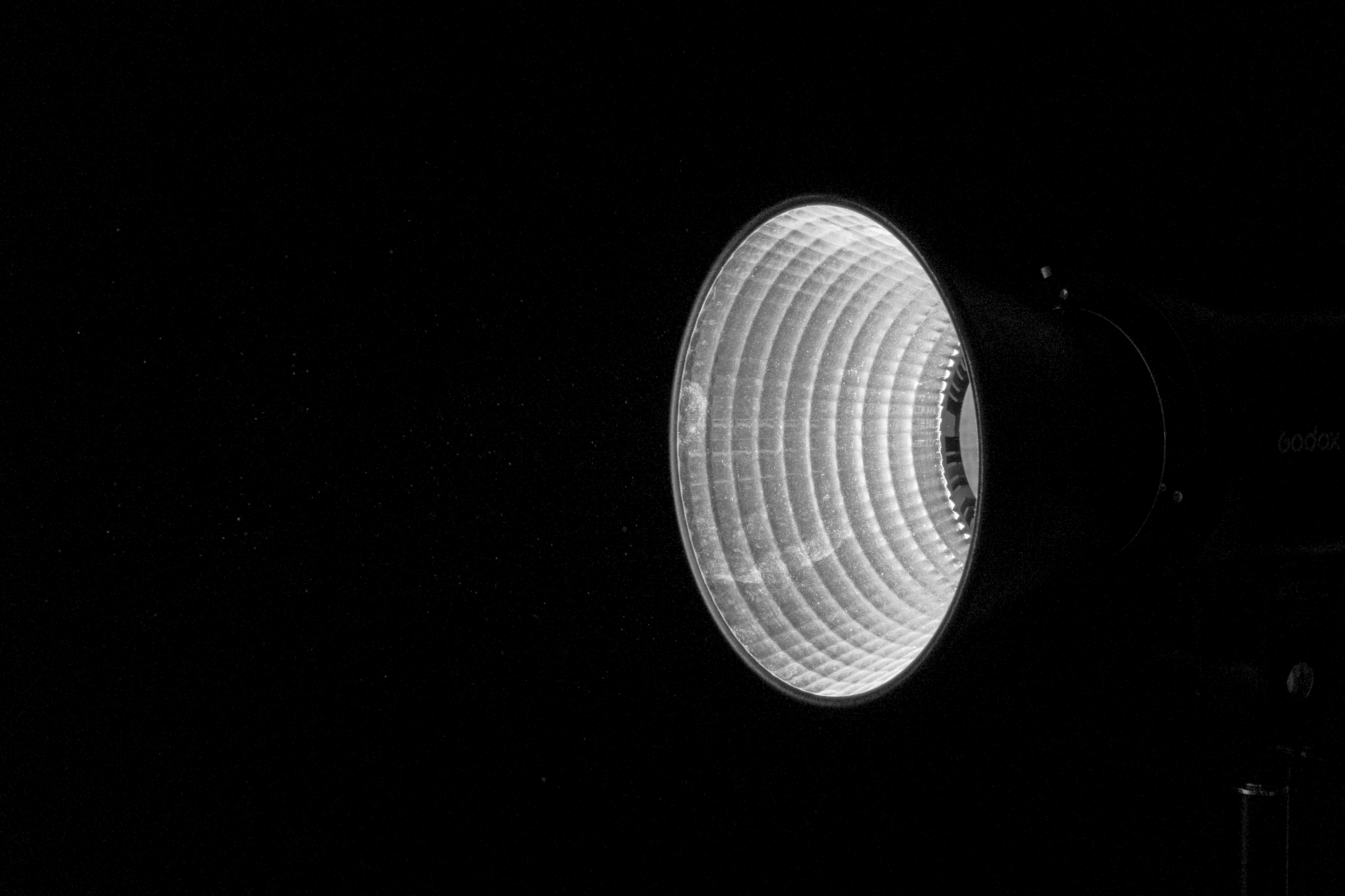 A studio light illuminates a dark background.