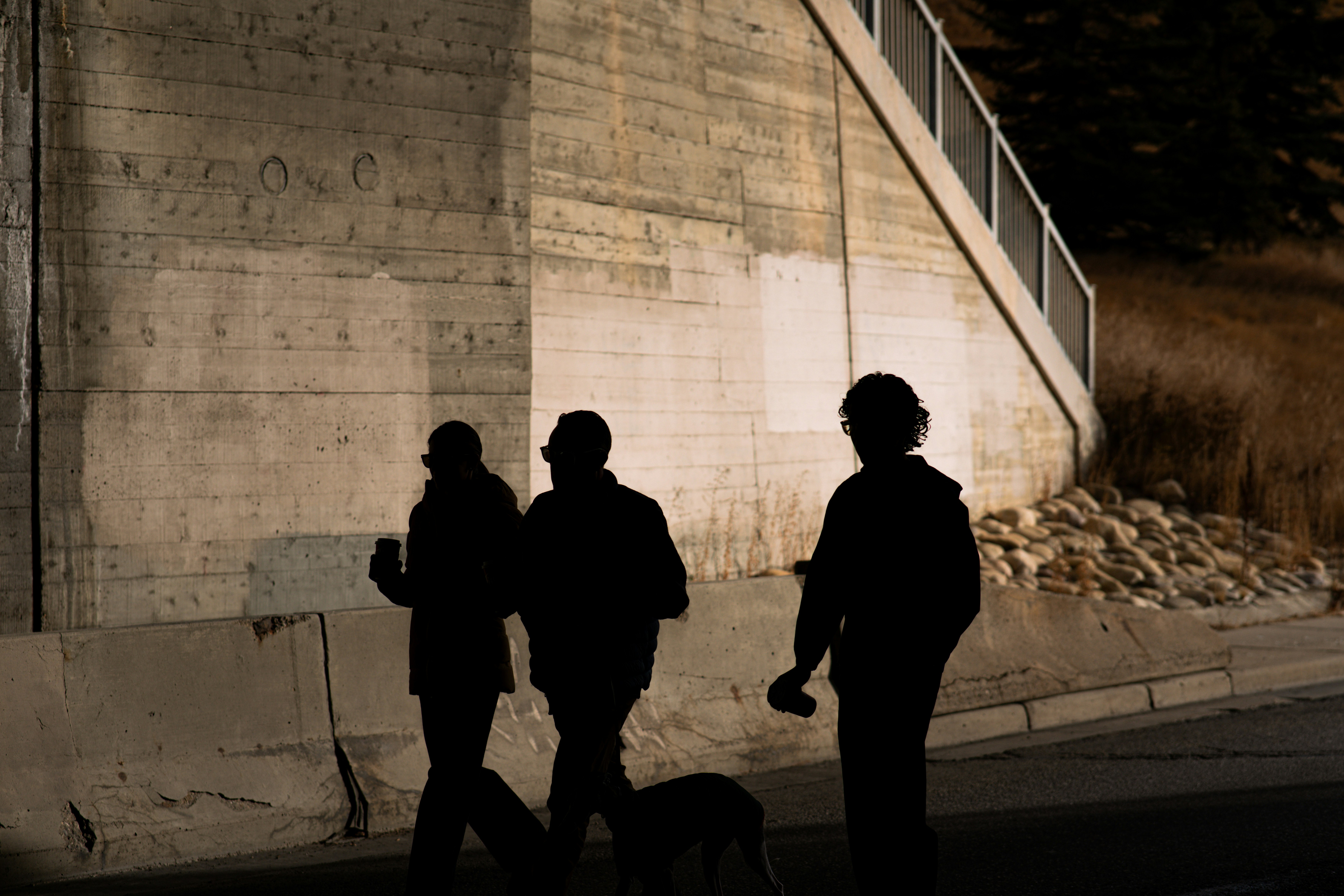 Photo by Josh Marty with Sony Alpha 7 IV