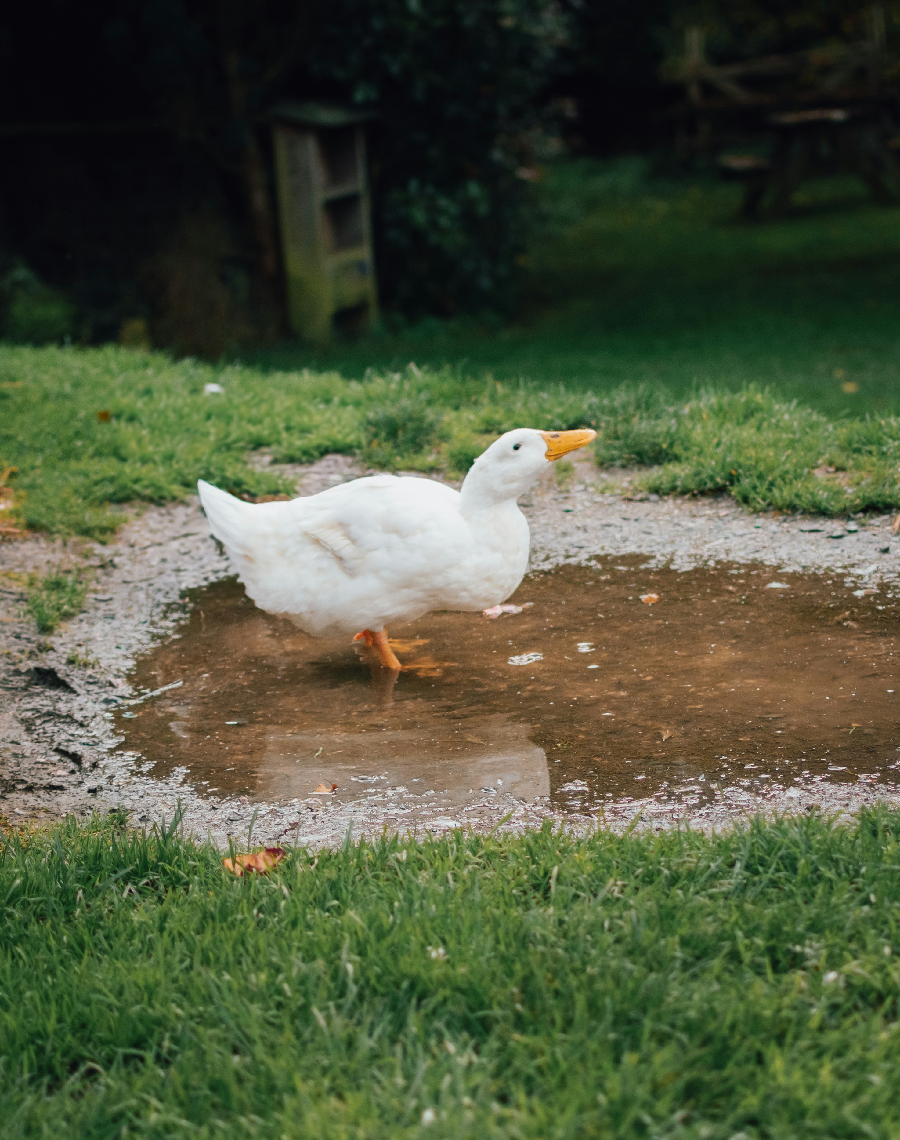 Photo by Silvan Arnet with Nikon D3400