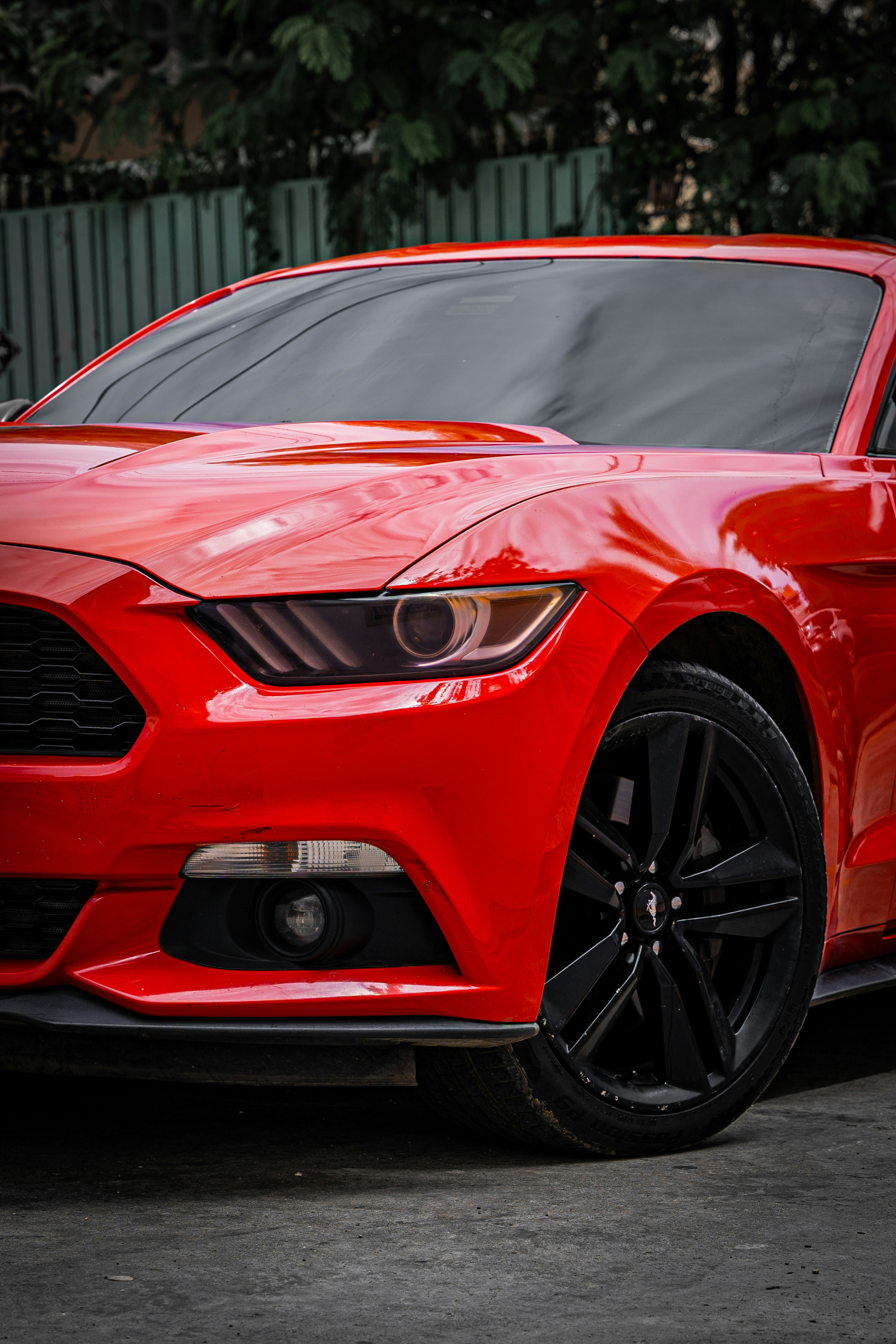 Photo by MiguelPhoto with Sony Alpha 7 III