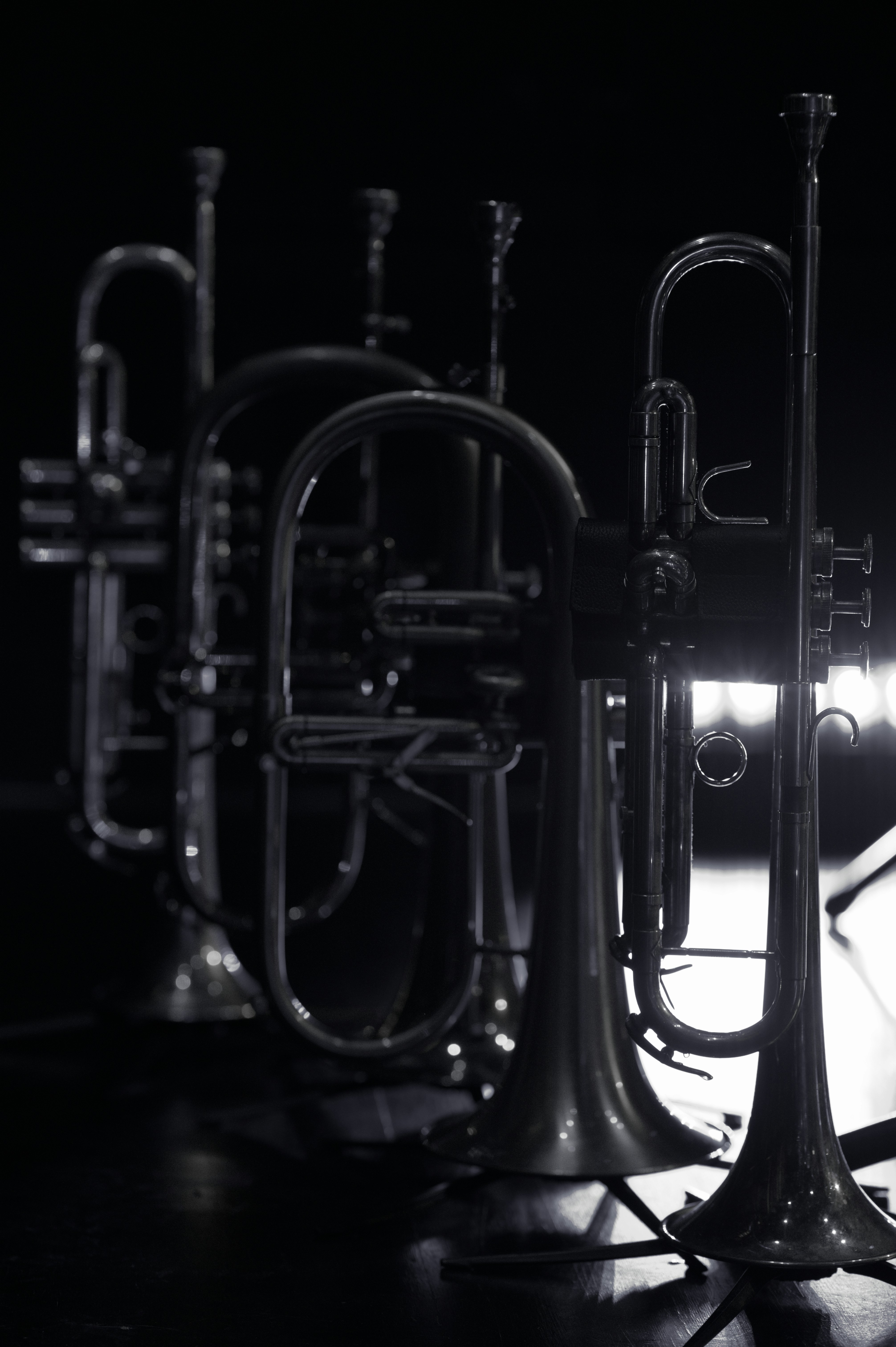 Row of trumpets on a dark background. photo – Free Music Image on Unsplash