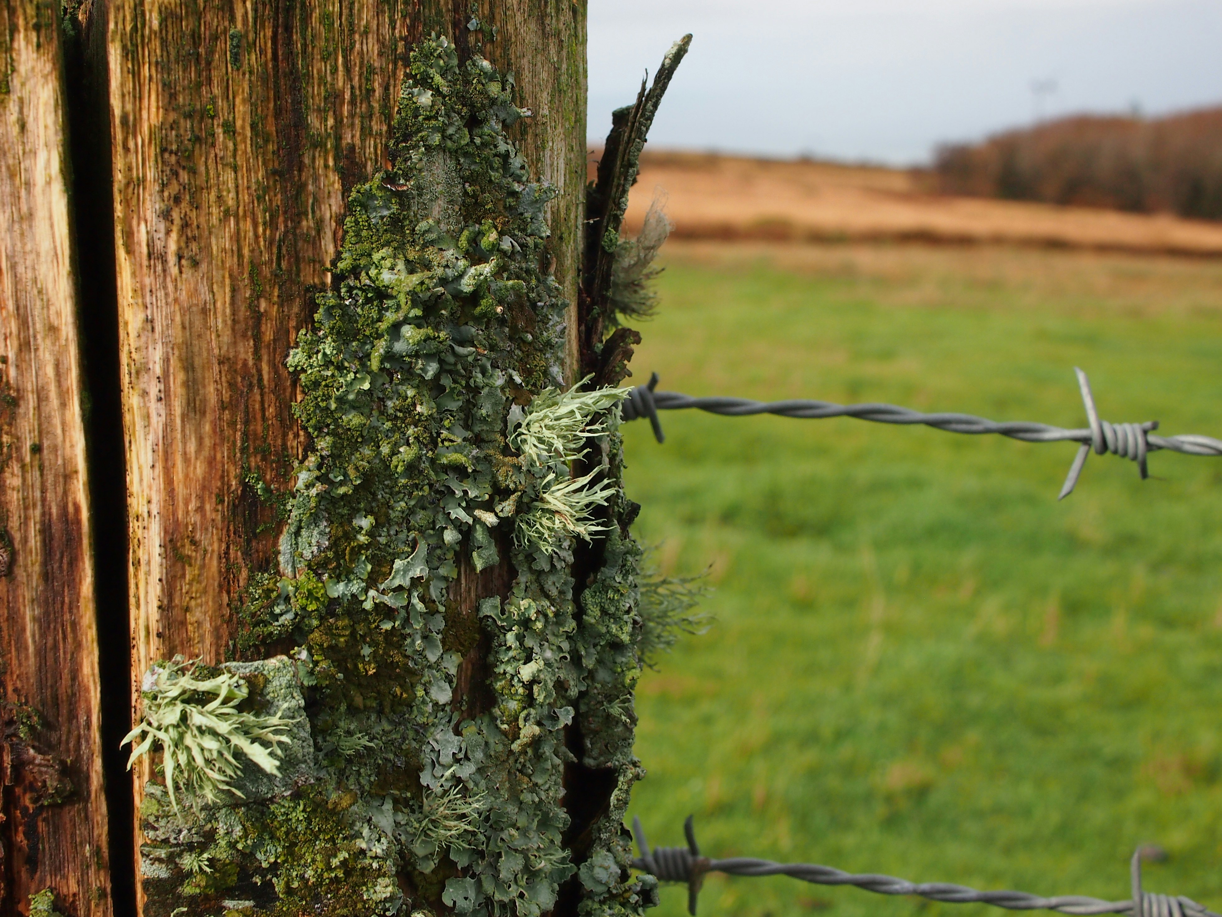 Lance Jacob (@trousers2000) | Komunitas Foto Unsplash