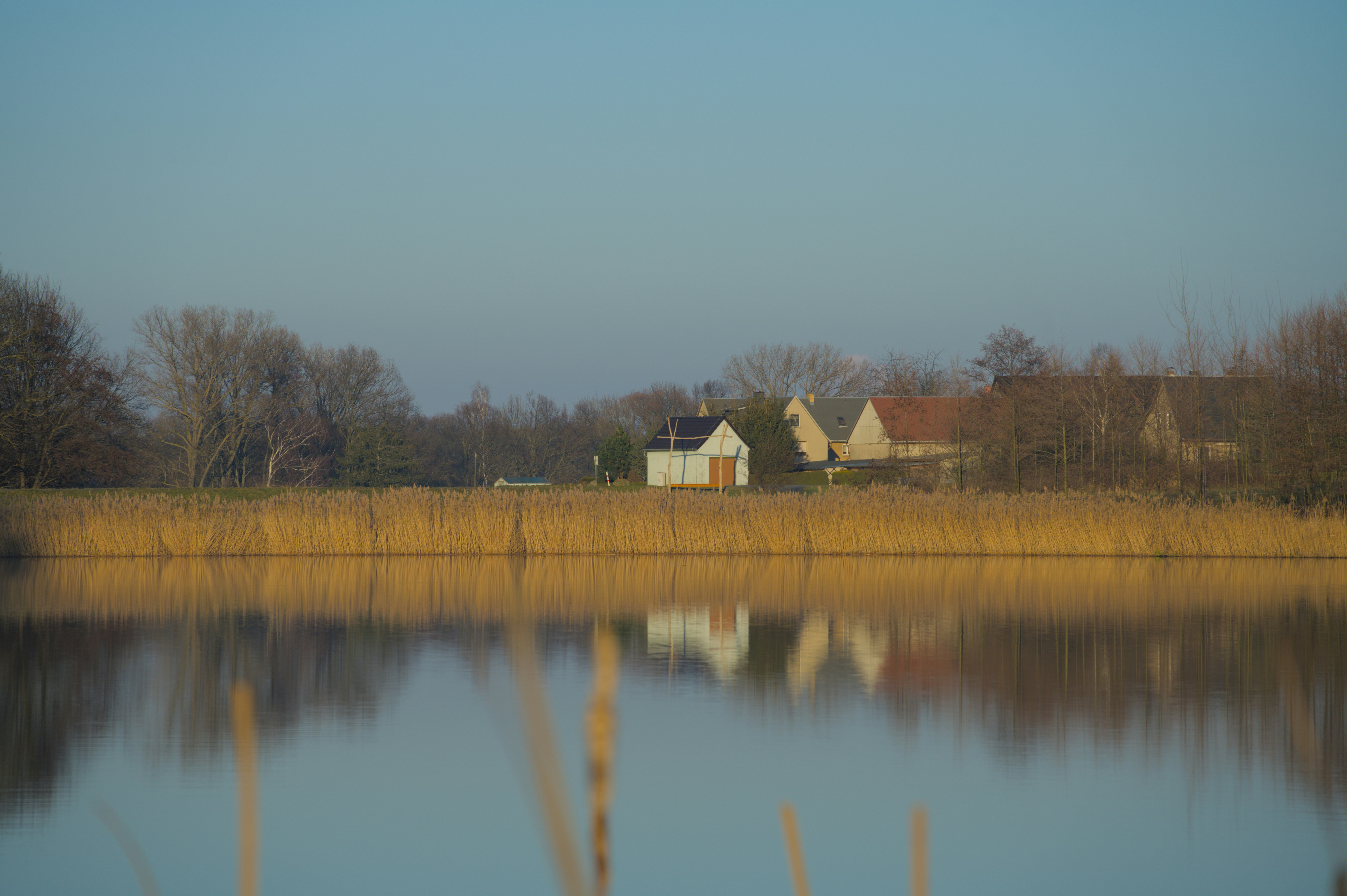 landscape at a lake in winter