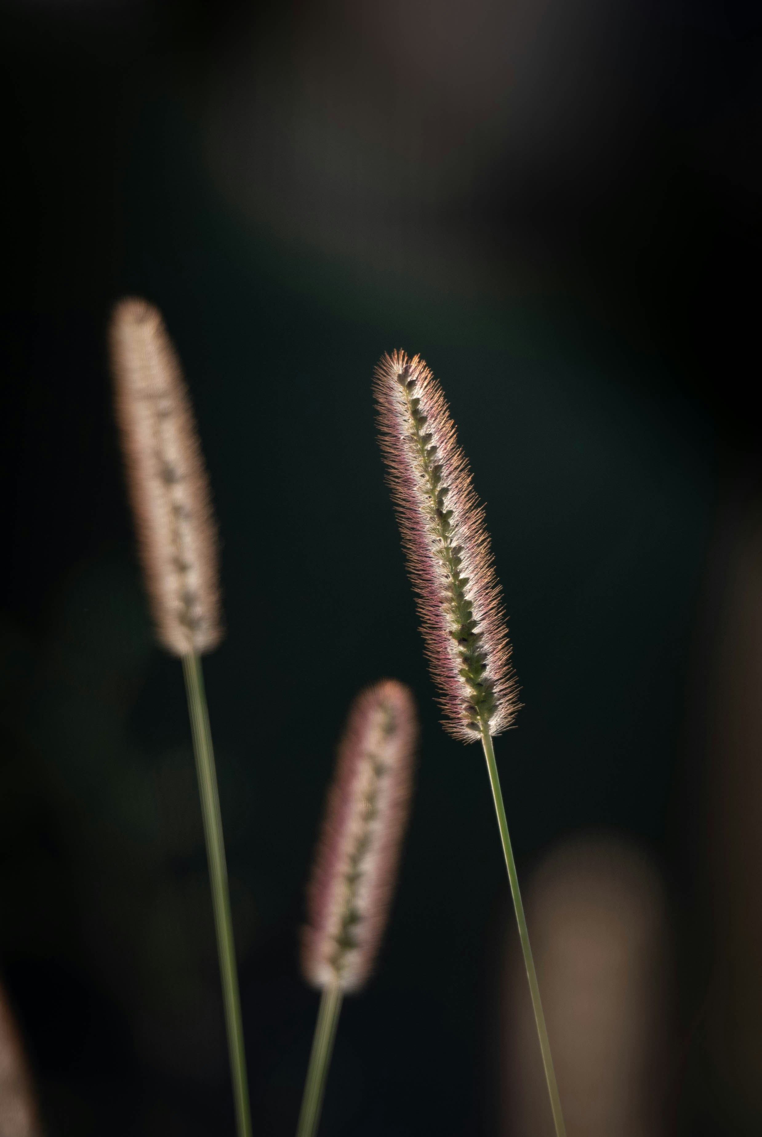 Photo by LanFeng with Nikon D750