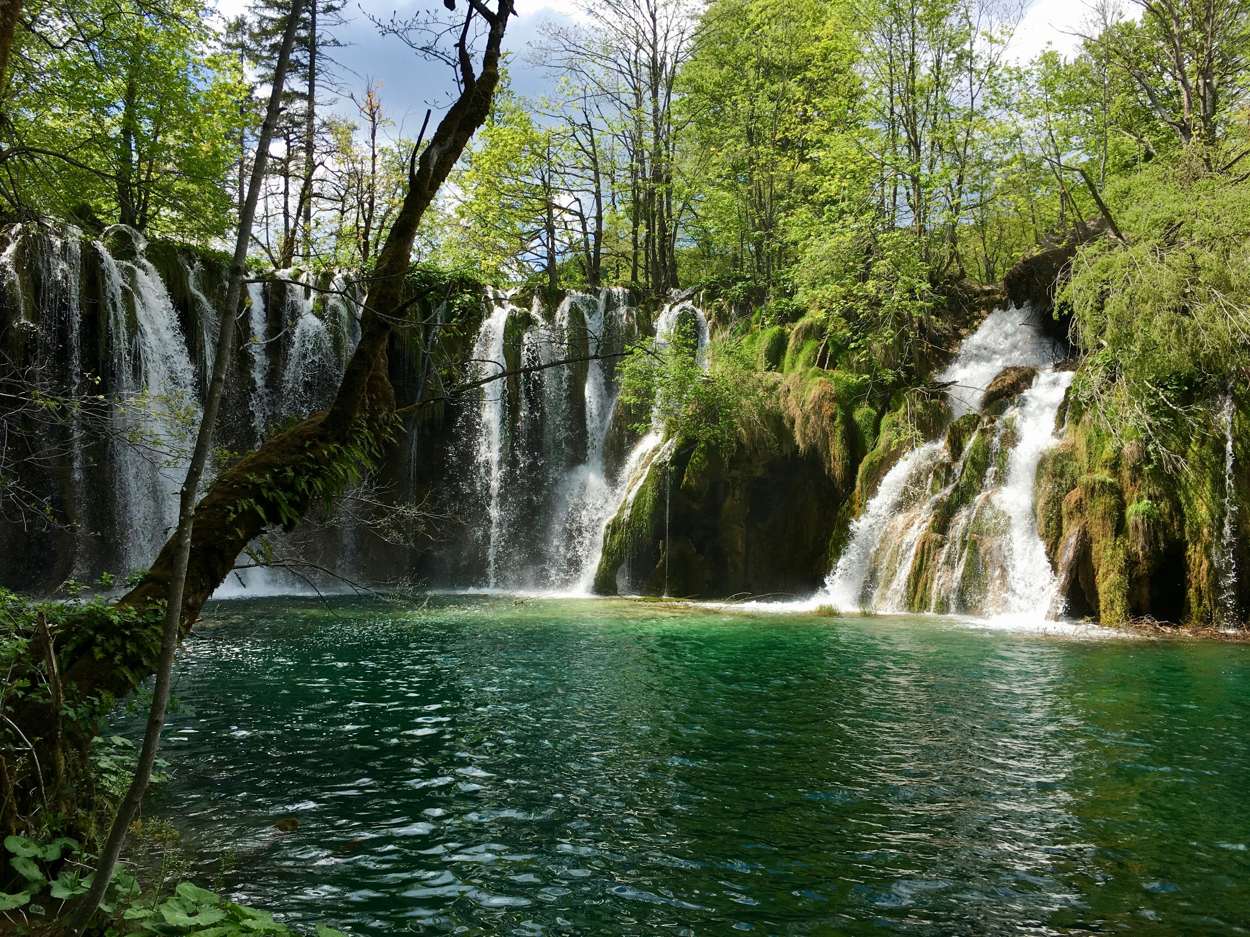 Emerald Cascade in Quiet Forest: Mossy Rocks and a Sunlit Pool
