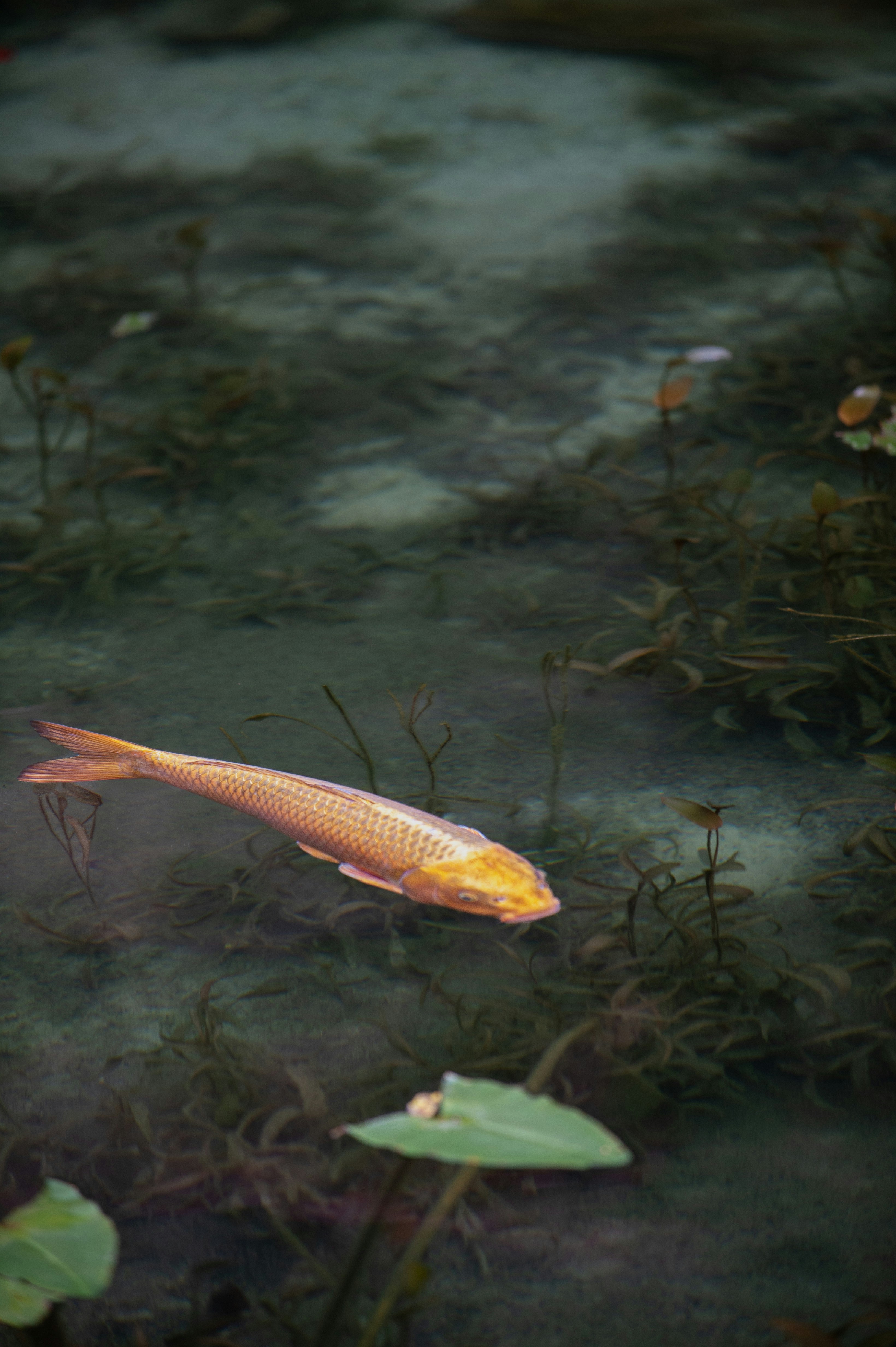 Photo by 5010 with Nikon Df