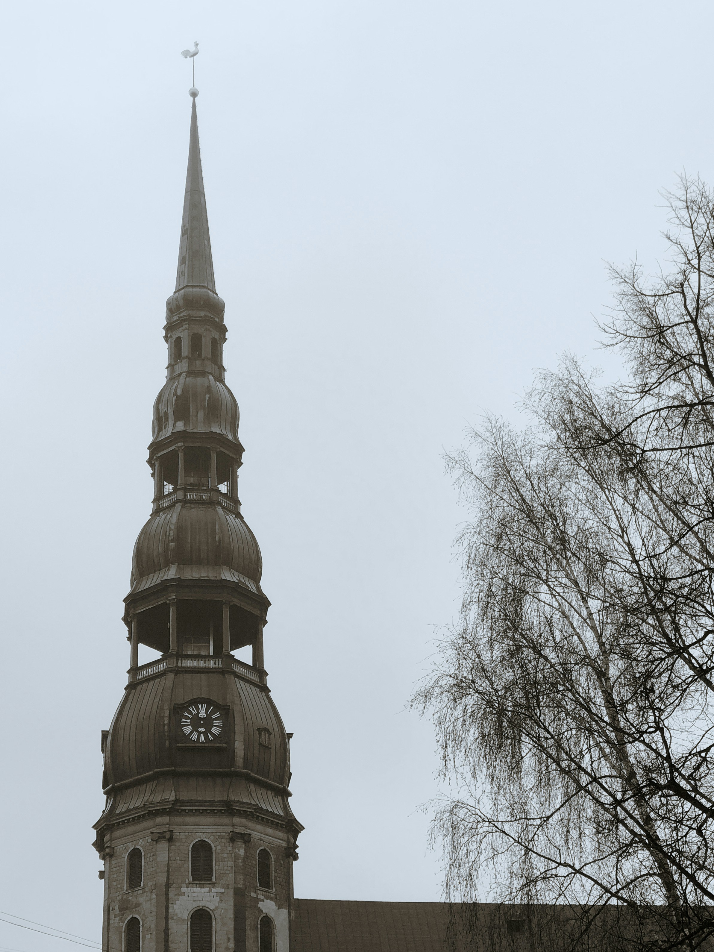 Photo by Jan Suchánek with Apple iPhone X