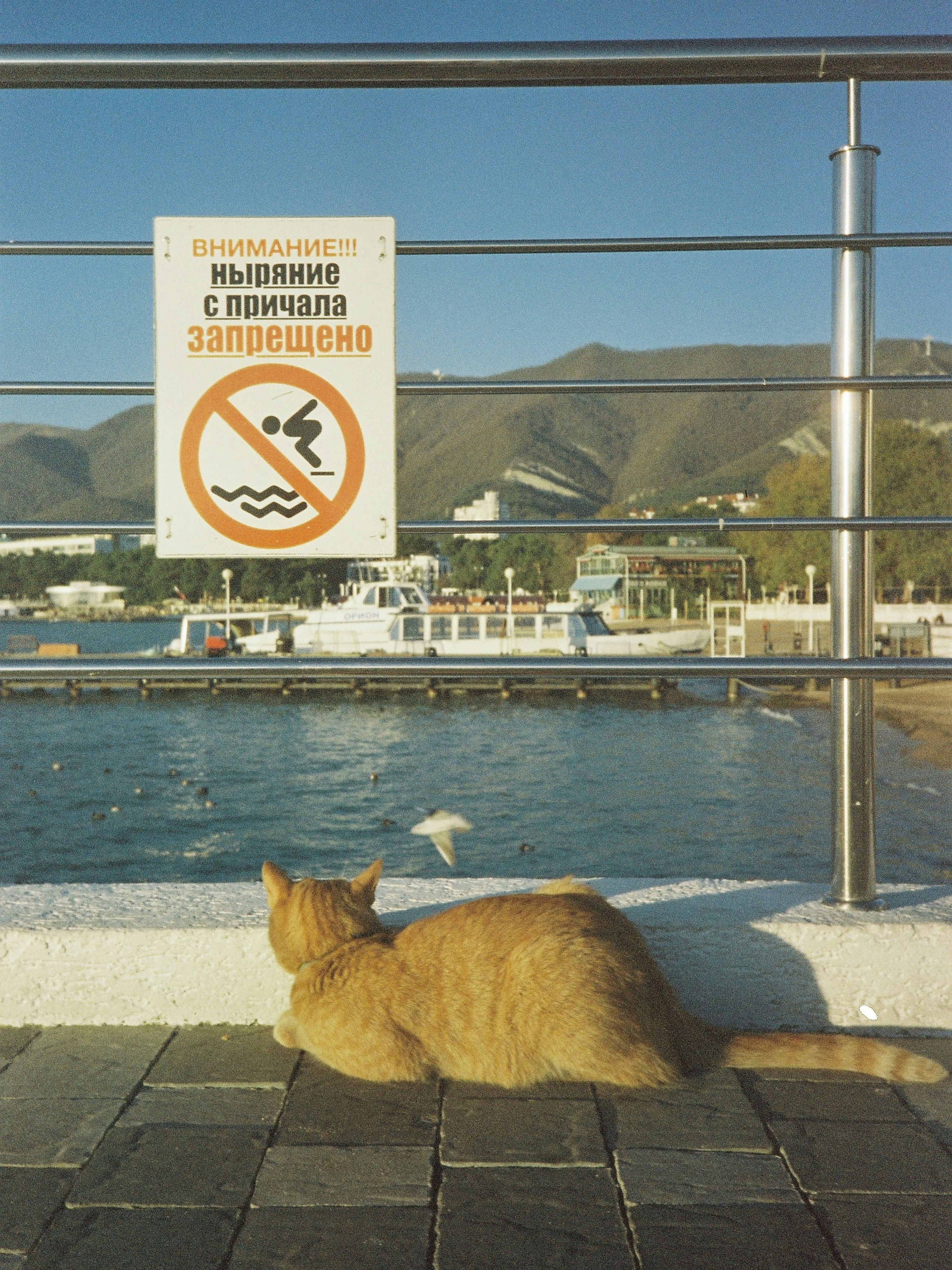 Attribution is appreciated