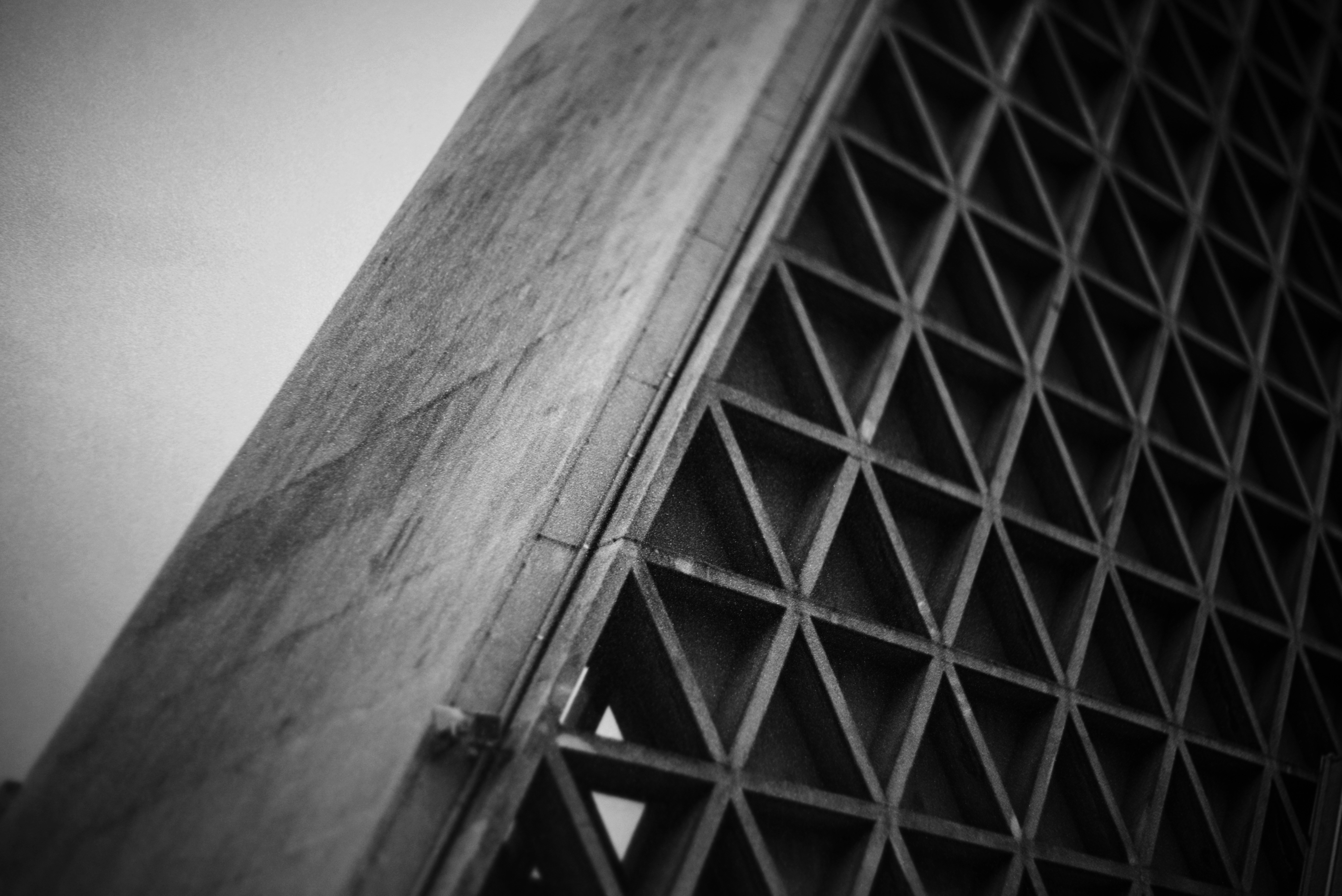 Monochrome Lattice Echo on a Concrete Facade