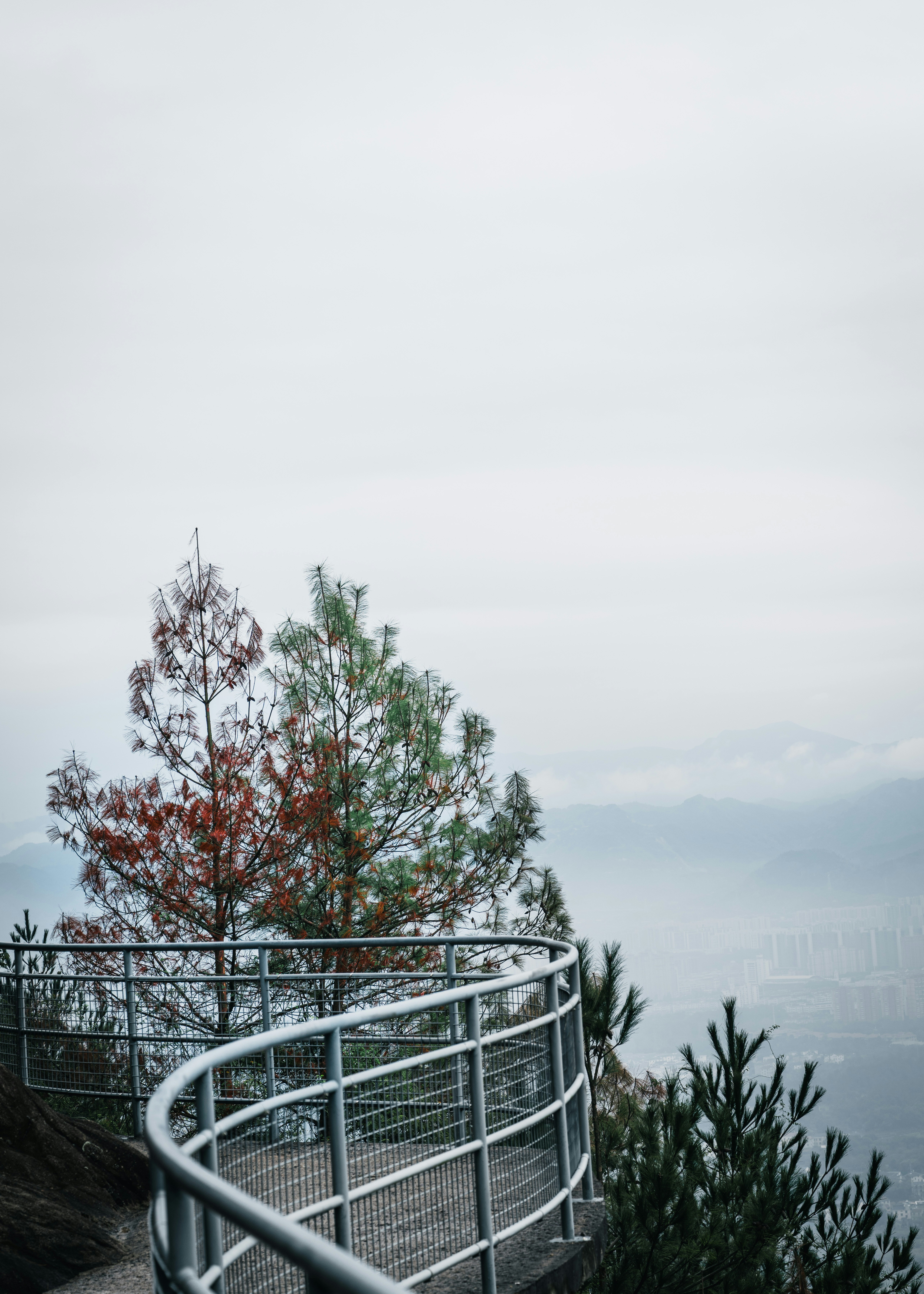 Photo by Rana Kaname with Sony Alpha 7R V