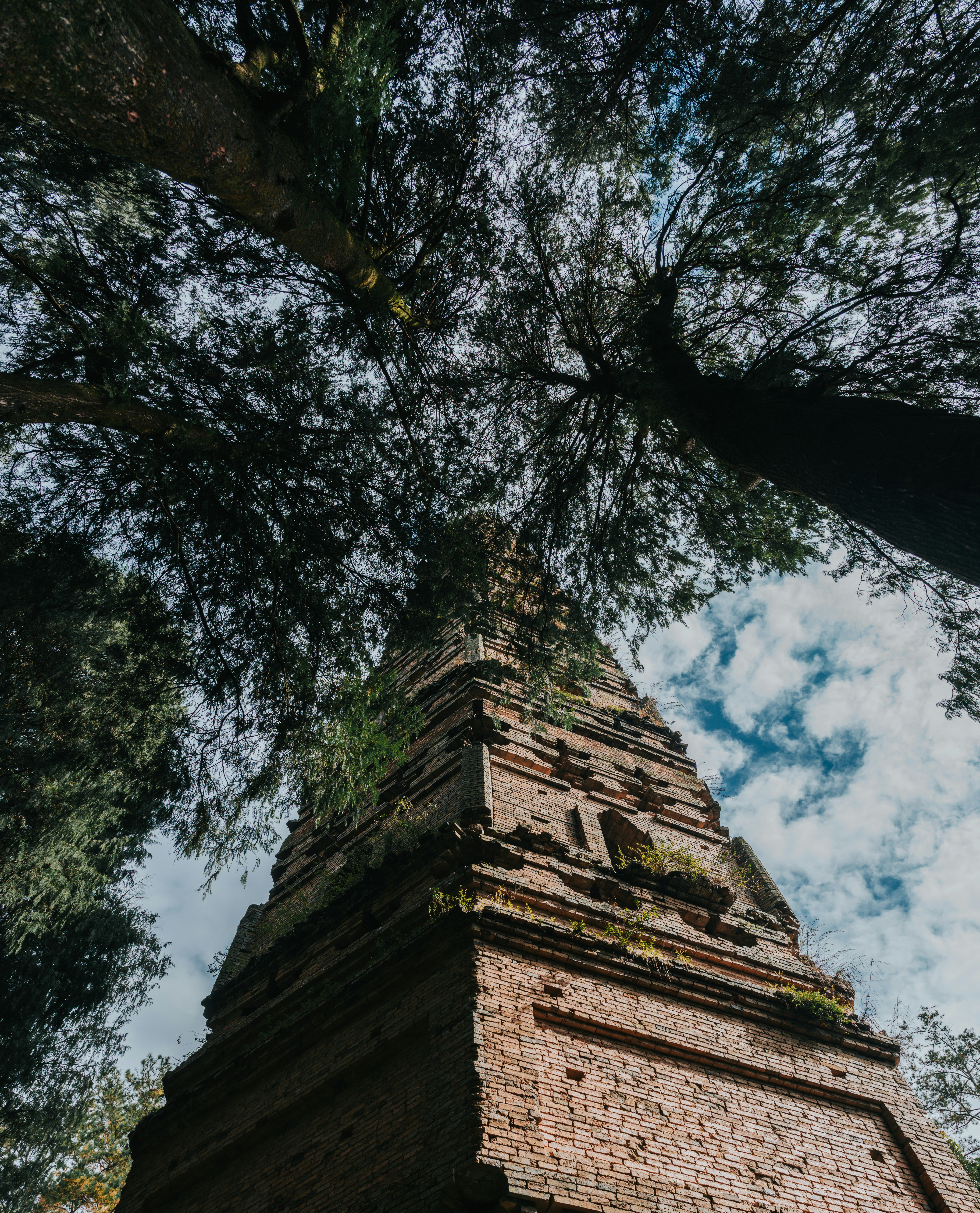 Brick Spire Rising Through the Forest Canopy