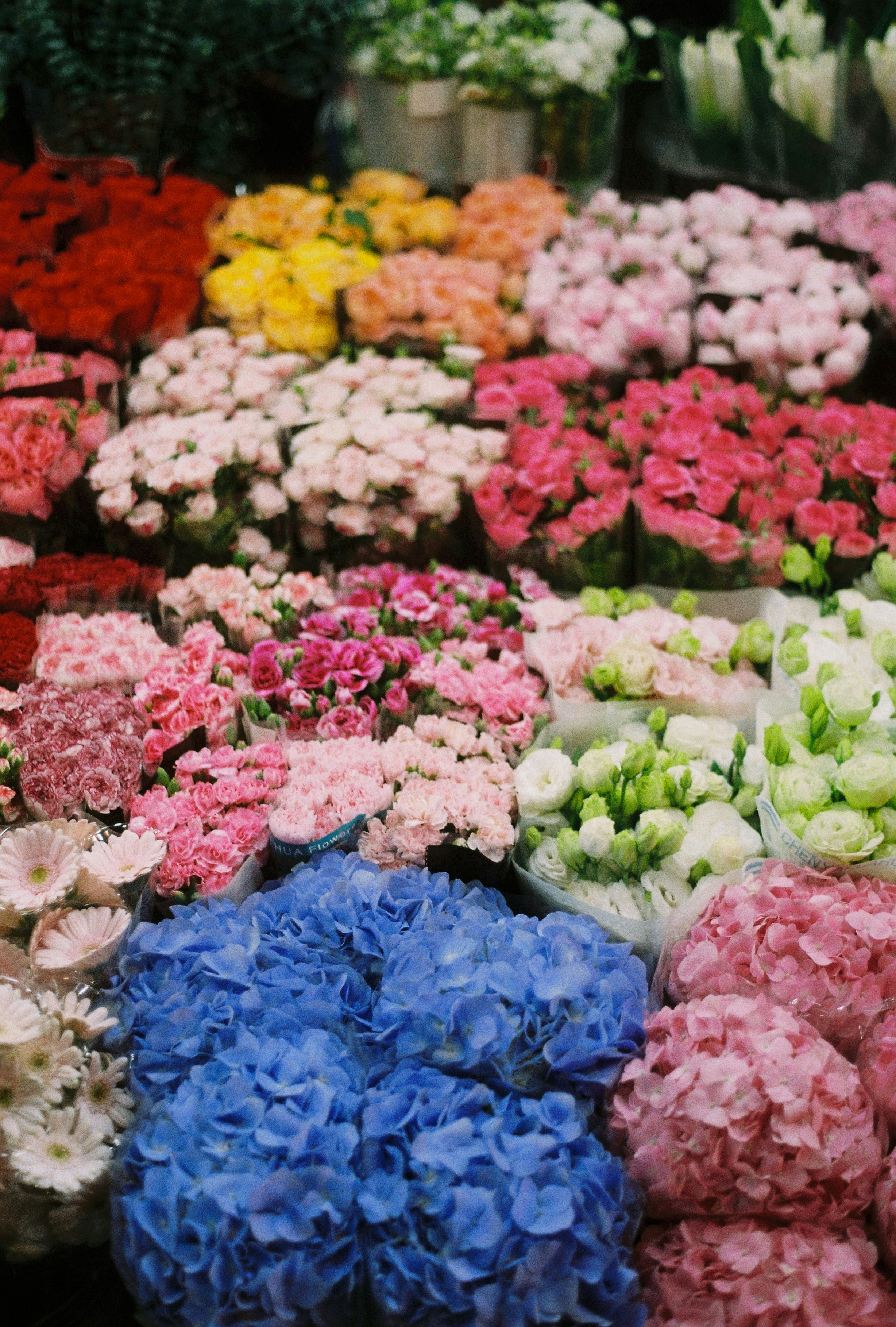 Hydrangea Mosaic at a Bustling Flower Market