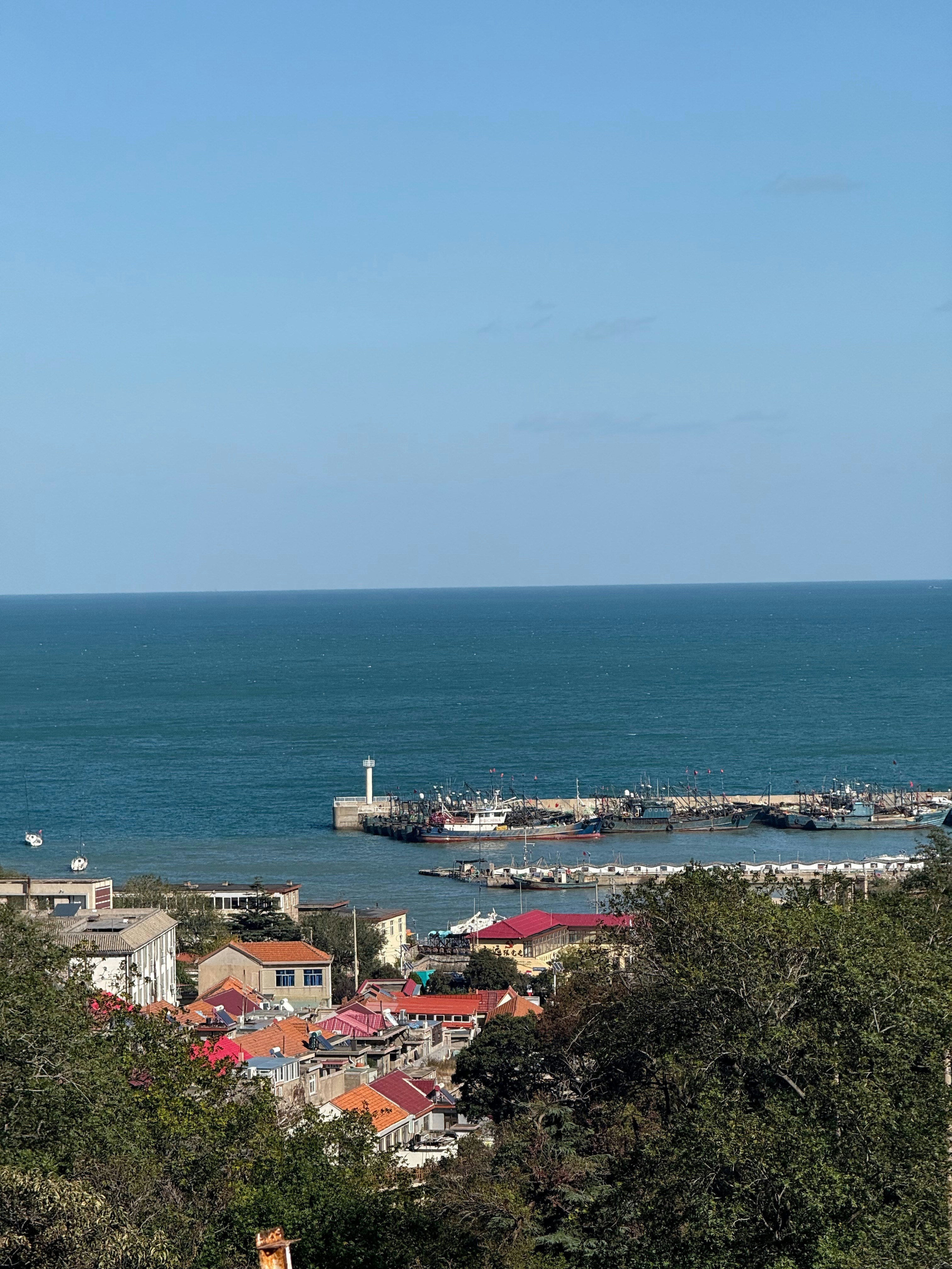 Devon Chan (@devonchan) | Comunidade de fotos da Unsplash