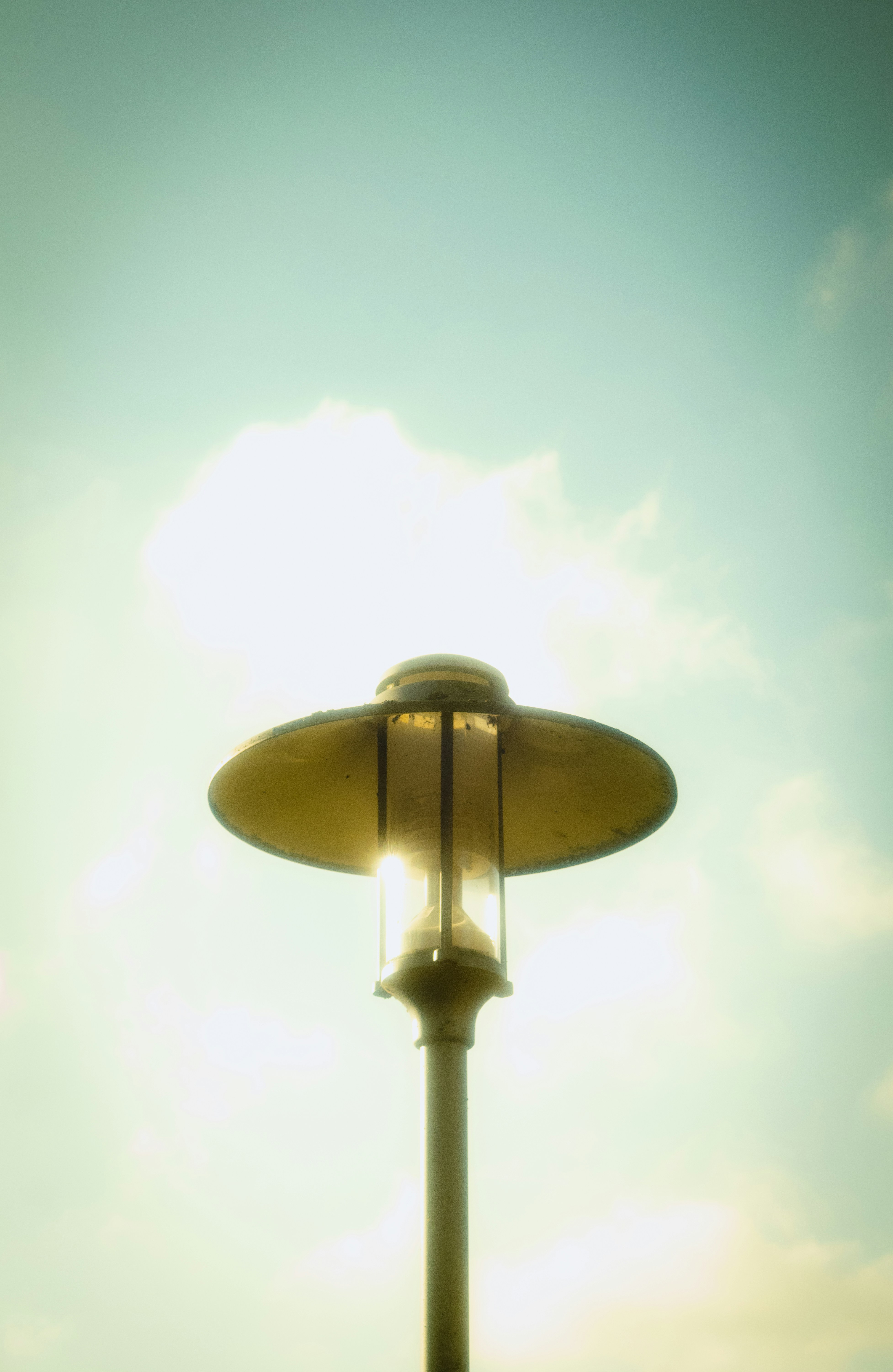 Backlit Halo: A Streetlamp Portrait Against a Teal Sky
