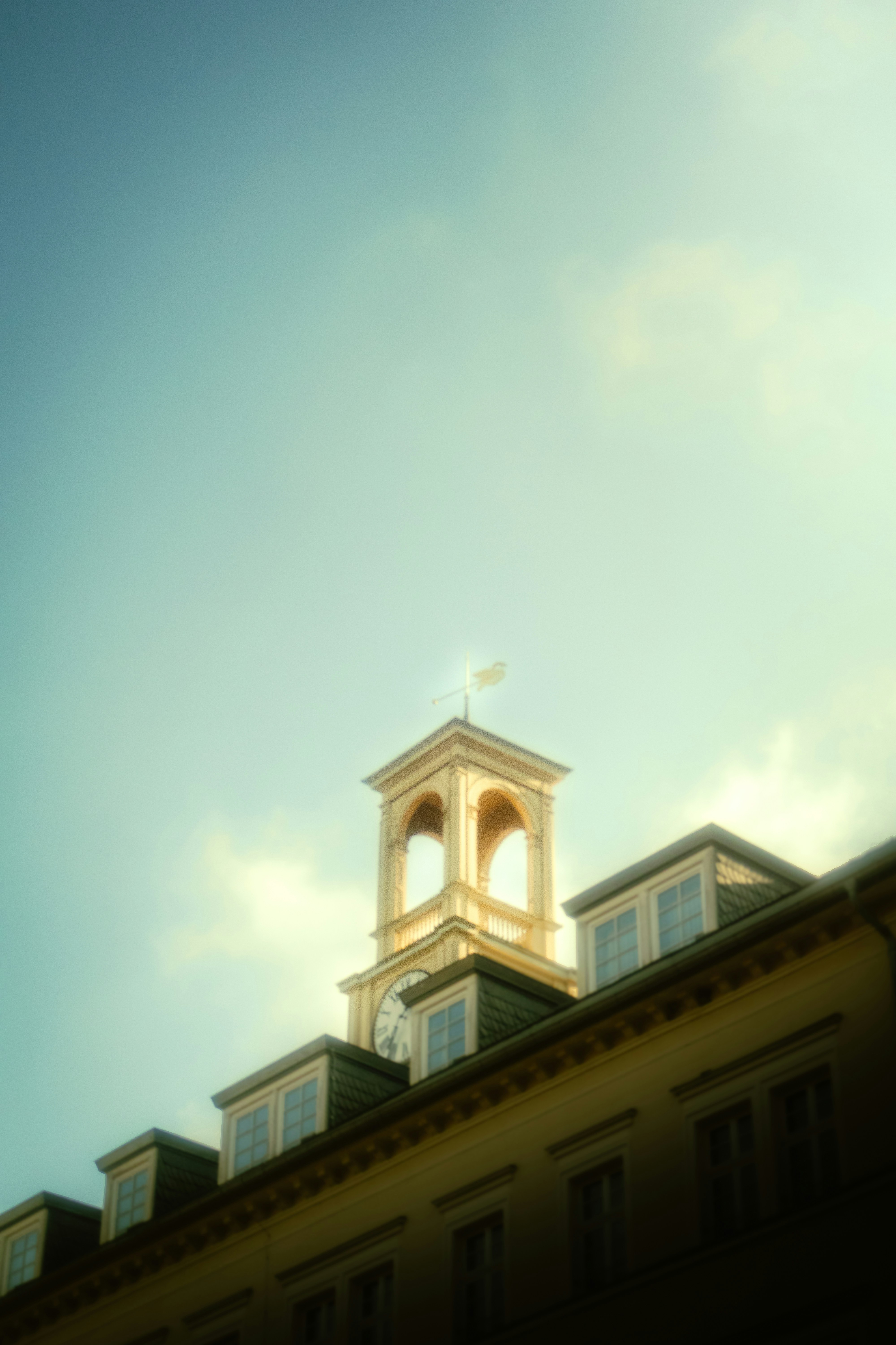 Photo by Leonardo Scharm with Canon EOS R50