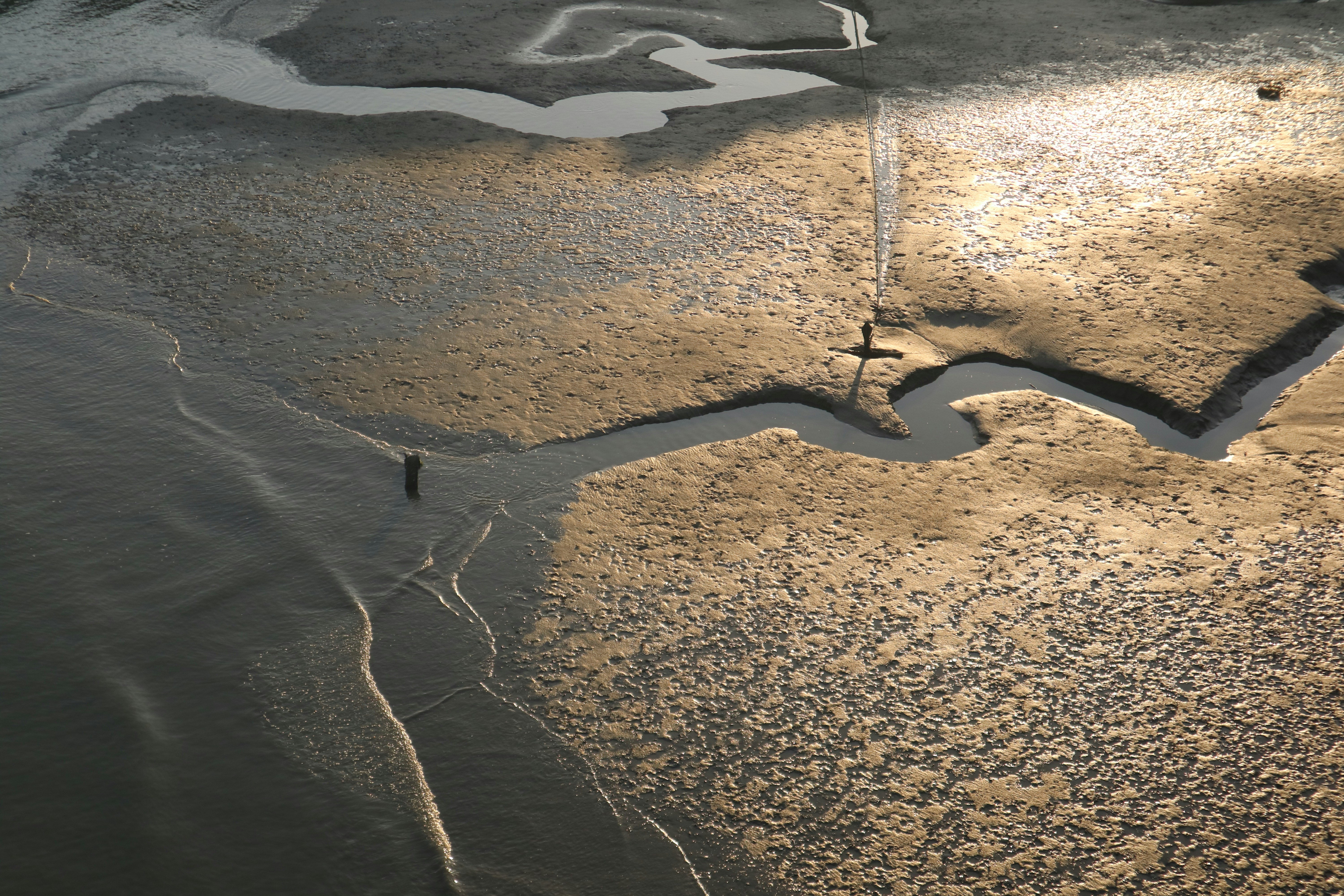 Sunlit Network of Mud Cracks on a Quiet Tide Flat