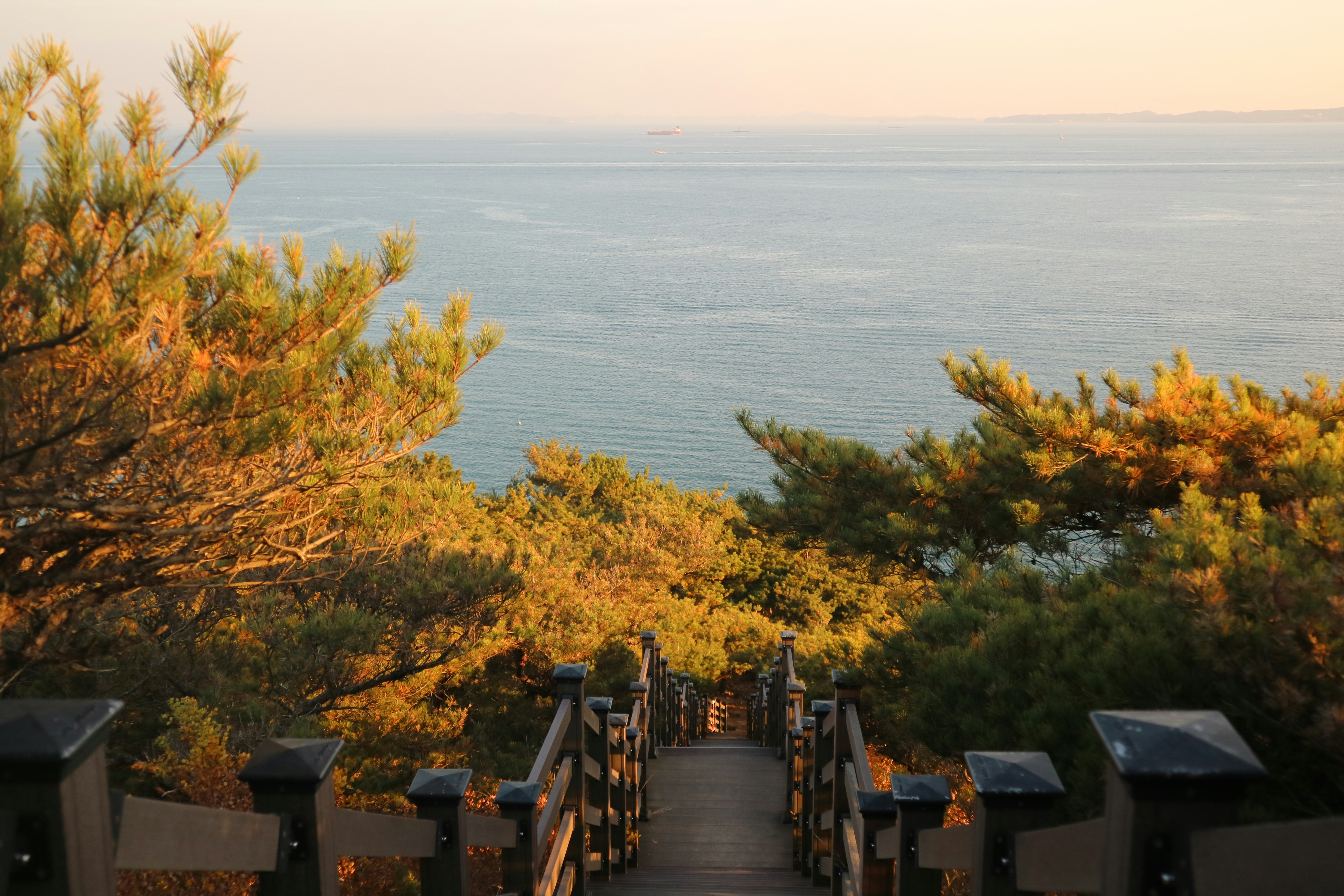 Photo by Jeong yunji with Canon EOS M3