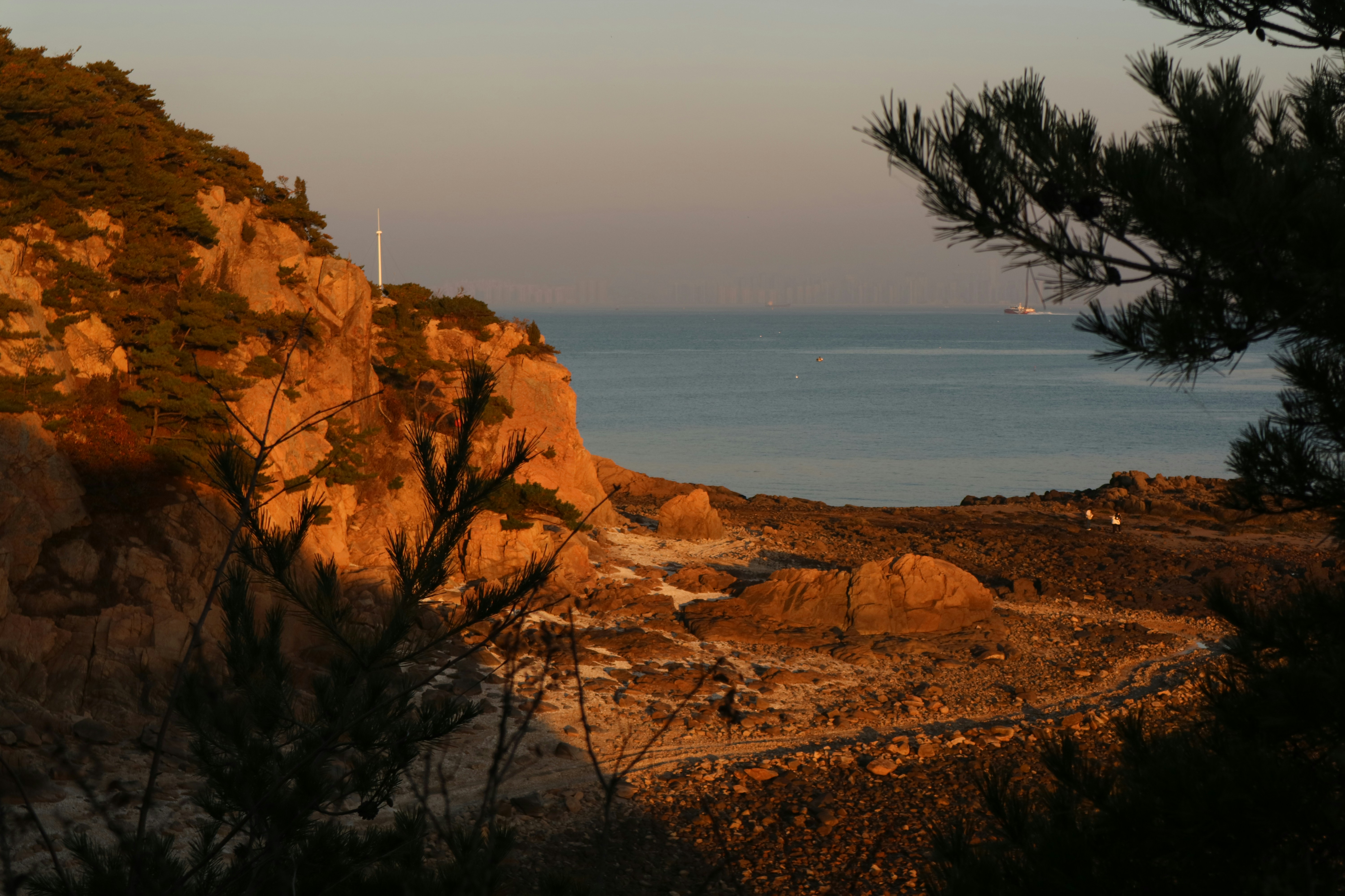 Golden Hour Cliffscape: Sunlit Rock, Quiet Sea, Framed Pines
