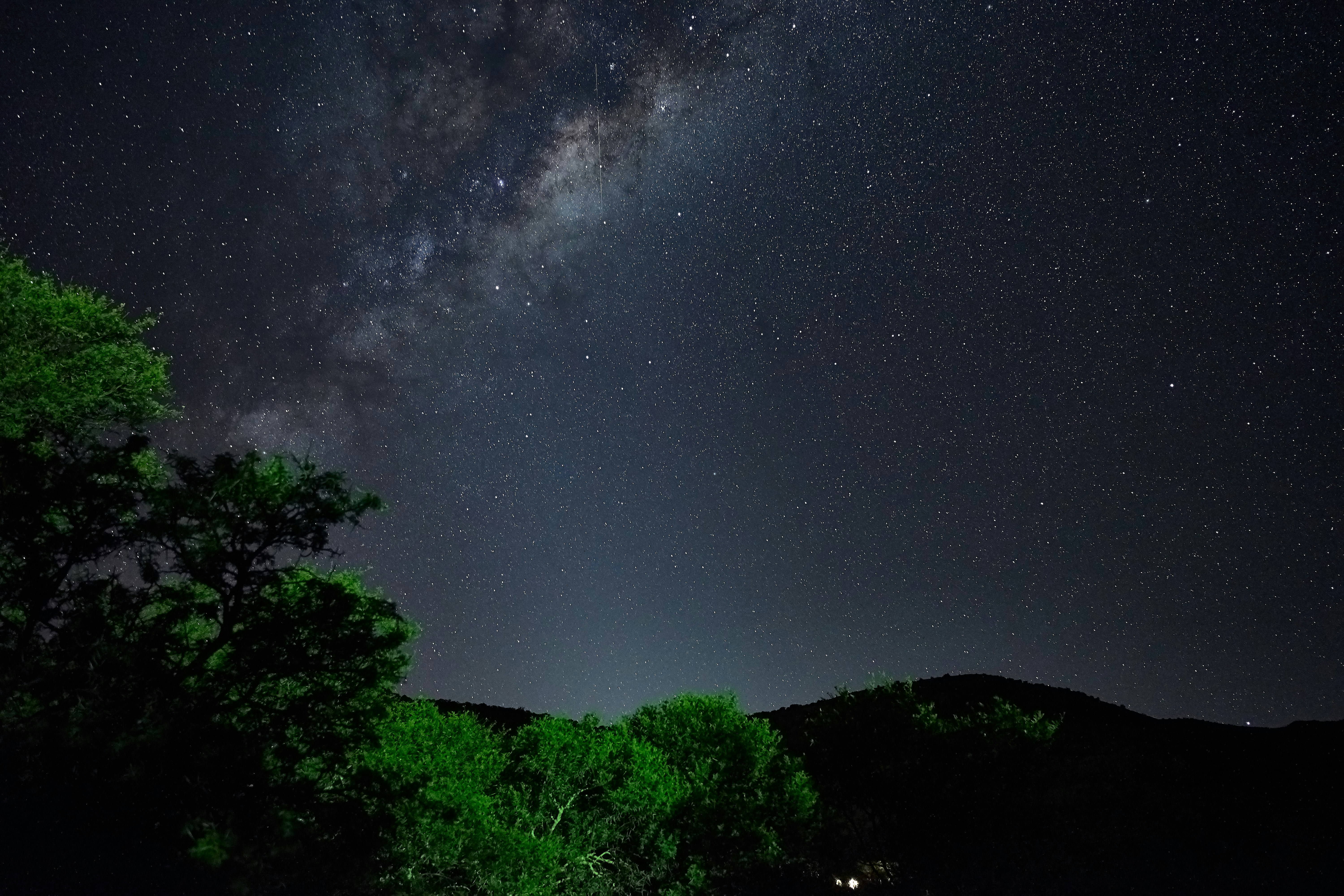 Photo by Wolfgang Hasselmann with Sony Alpha 7 II