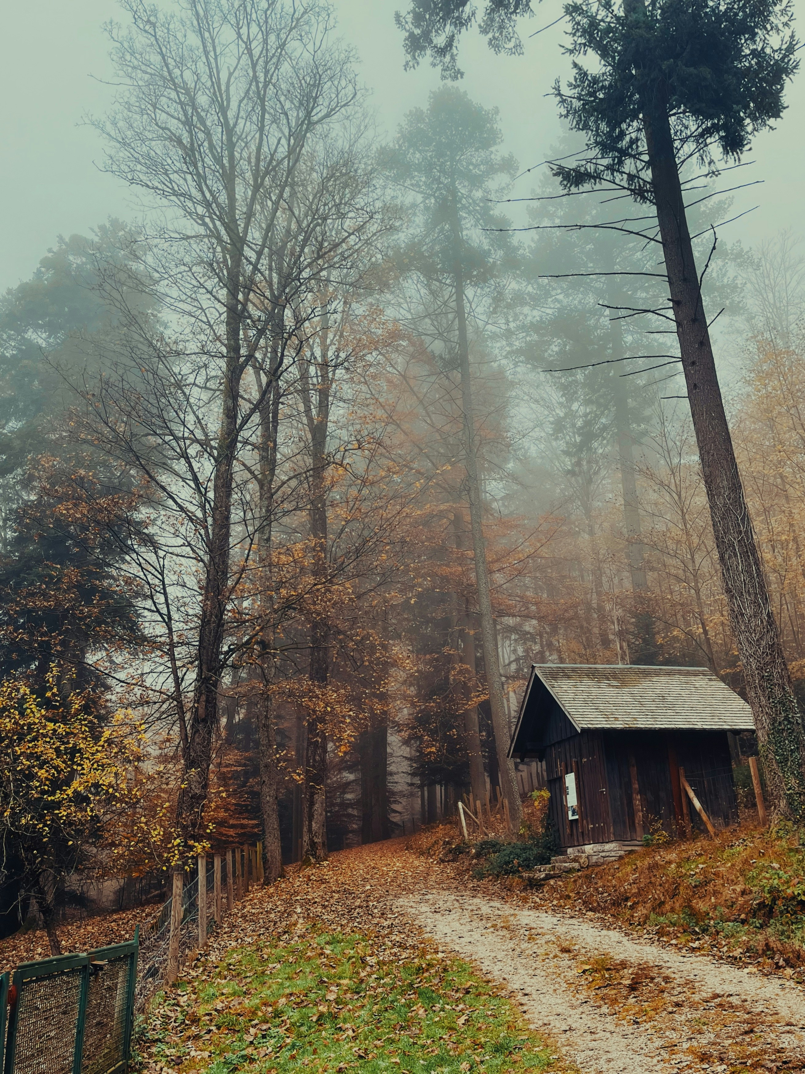 Photo by Iryna Muller with Apple iPhone 13