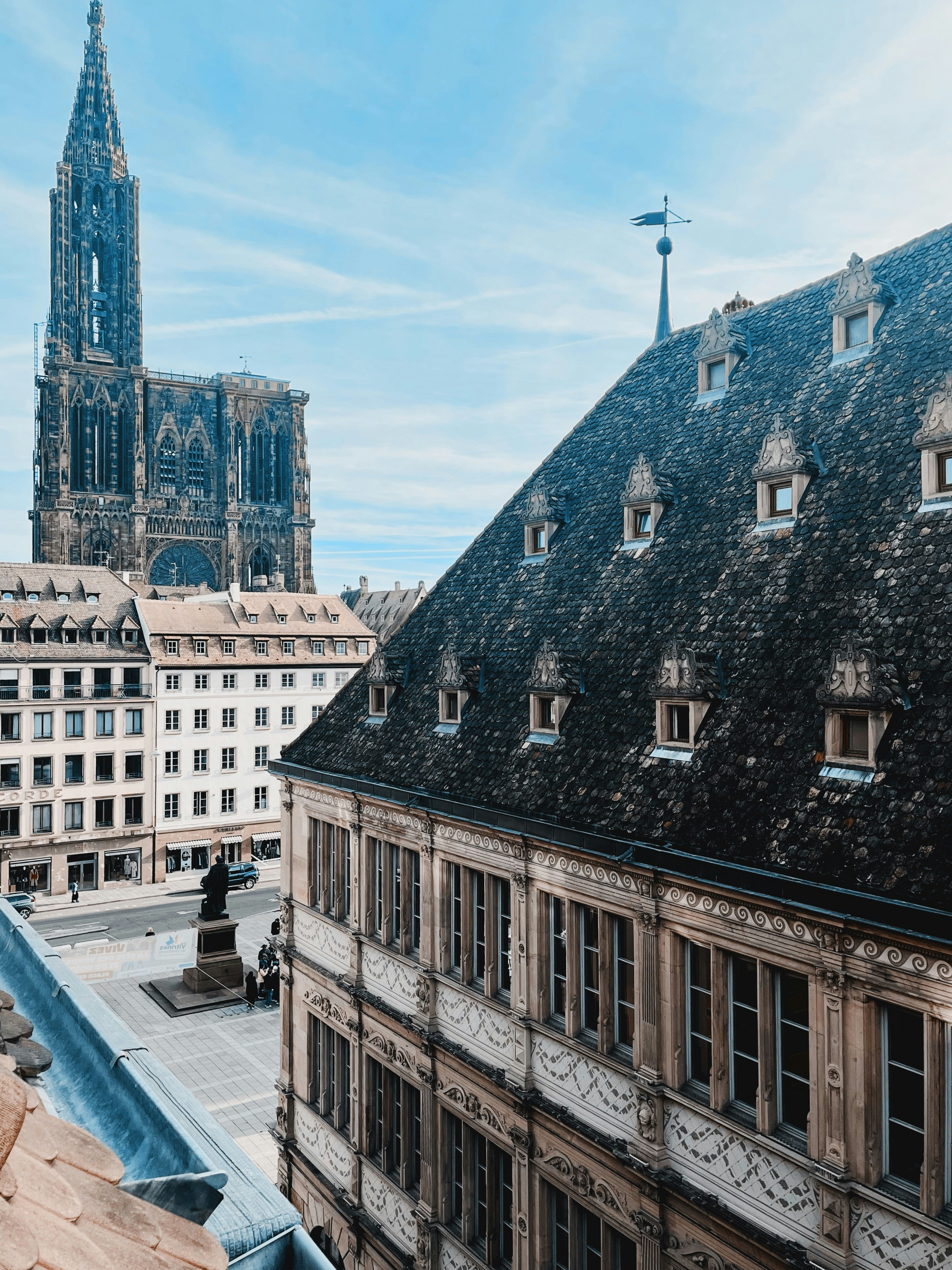 Photo by Iryna Muller with Apple iPhone 13