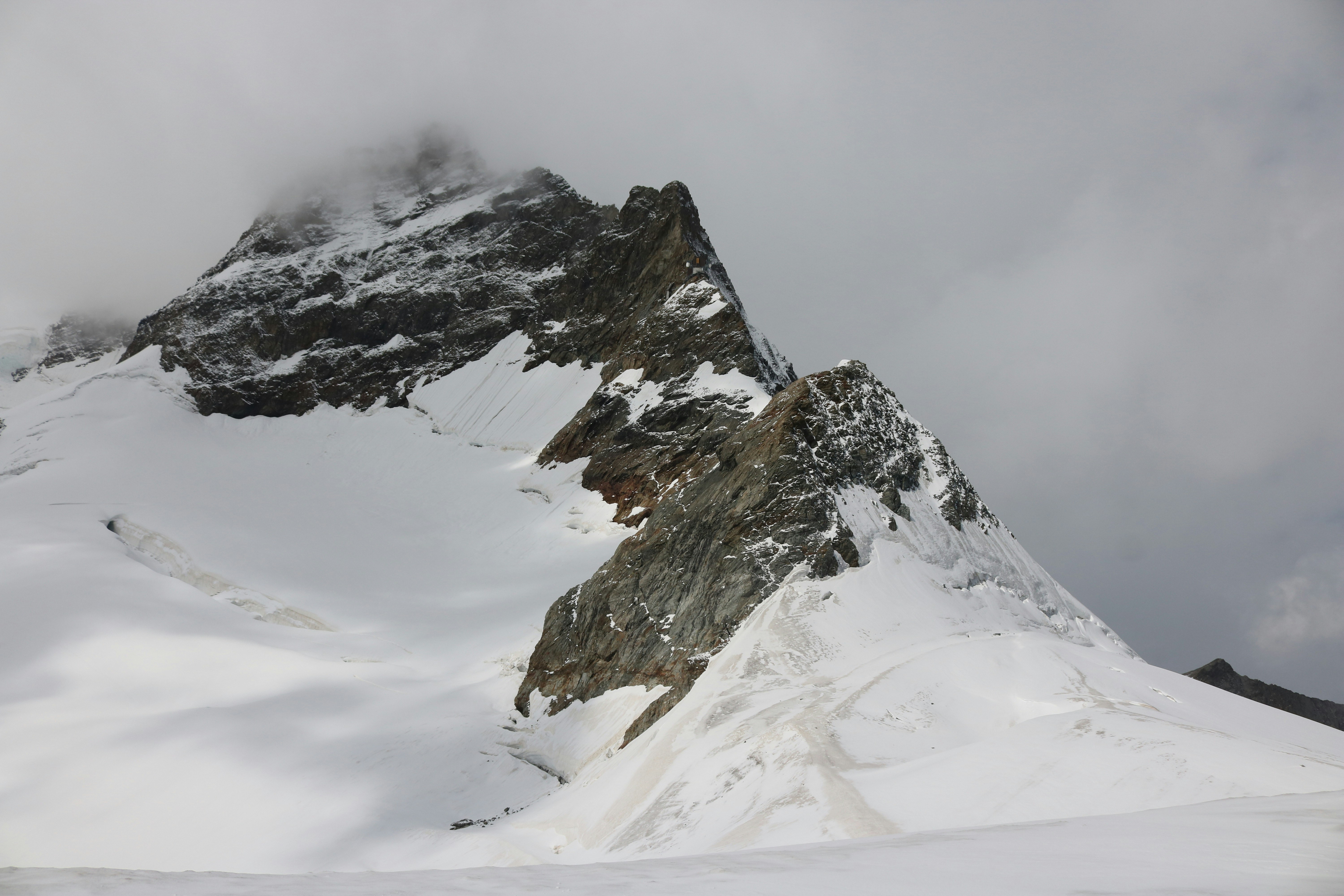 Photo by Ashley Limbaugh with Canon EOS 750D