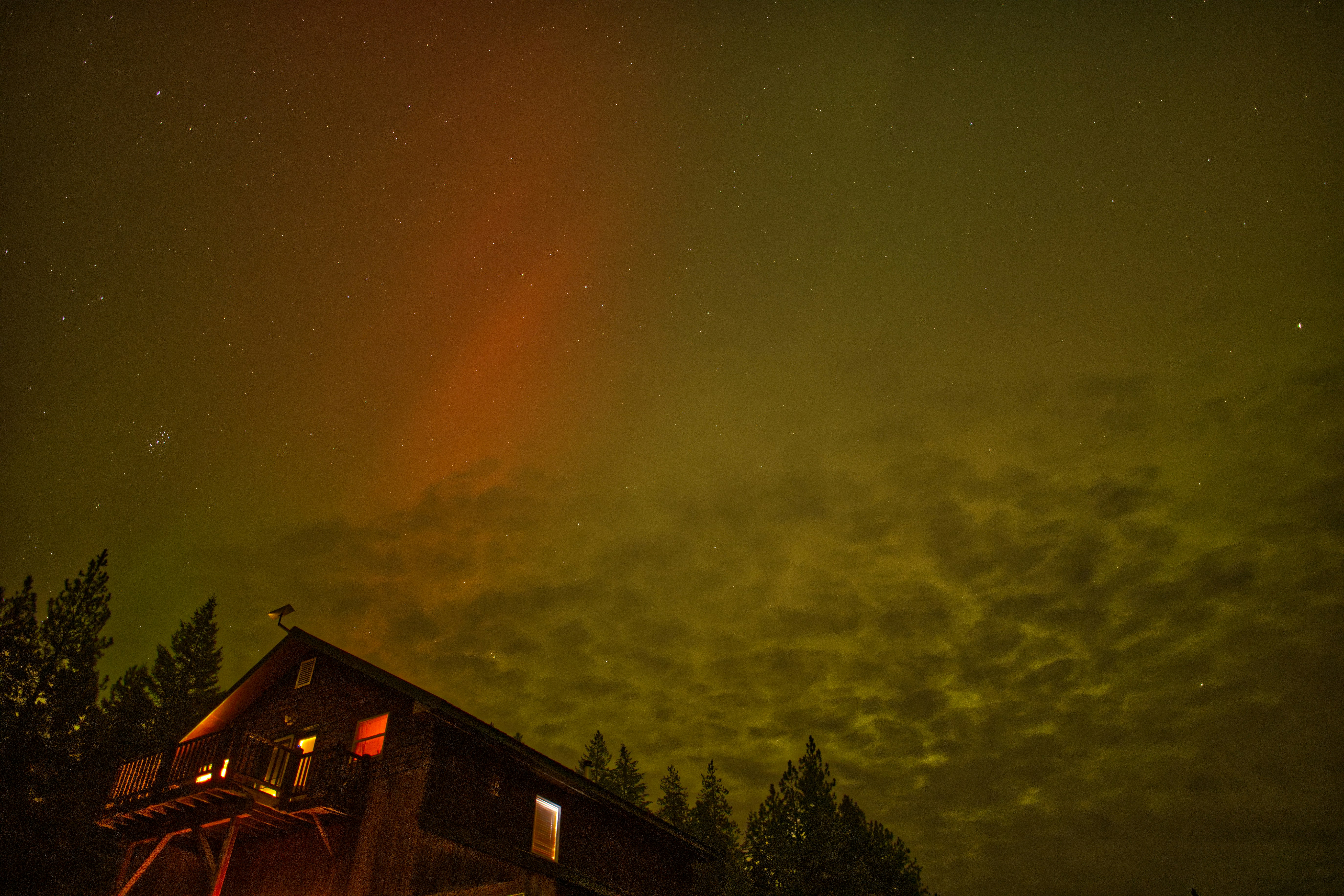 November 11, 2025 aurora borealis in North Idaho forest.