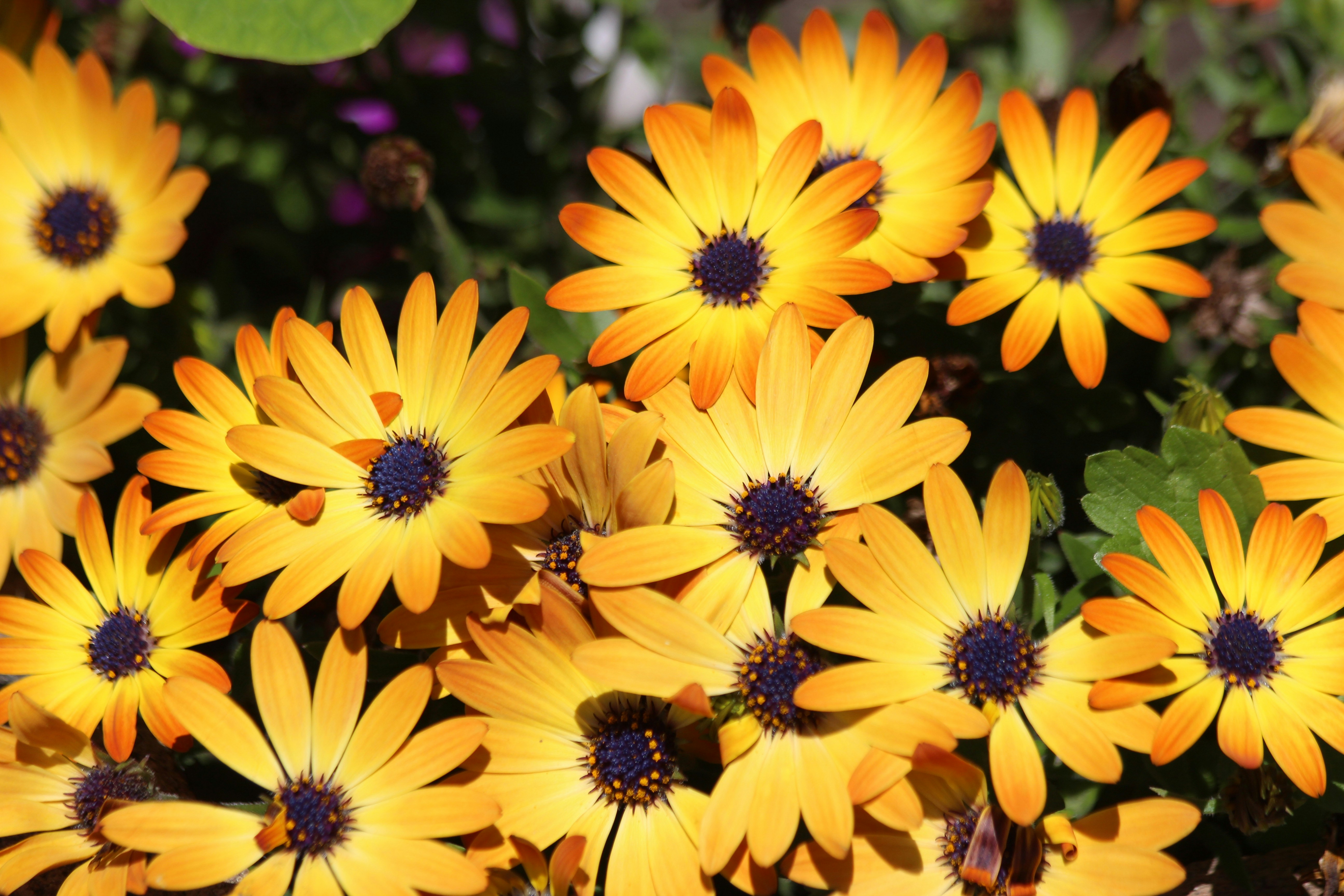 Photo by Ashley Limbaugh with Canon EOS 600D