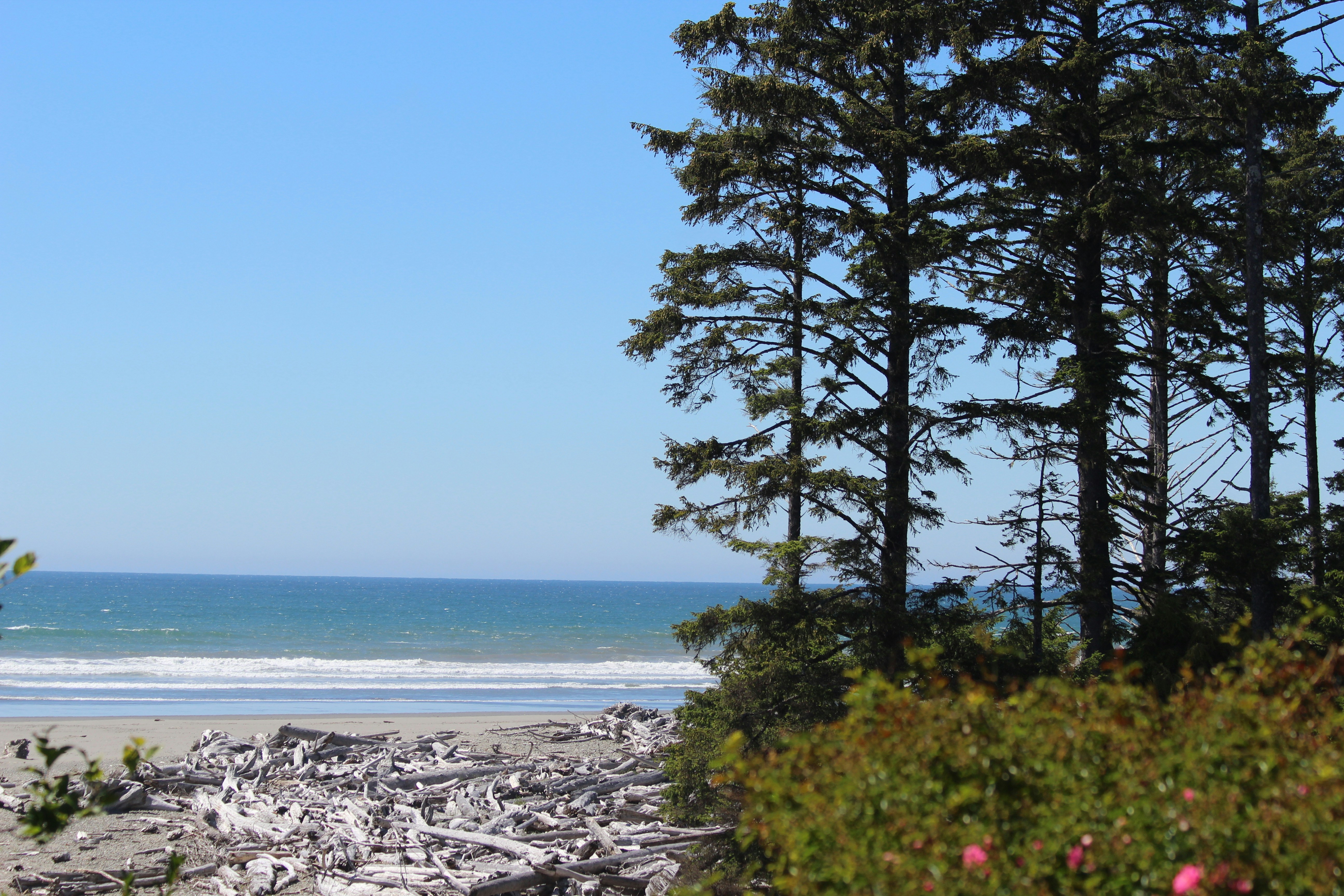 Photo by Ashley Limbaugh with Canon EOS 600D