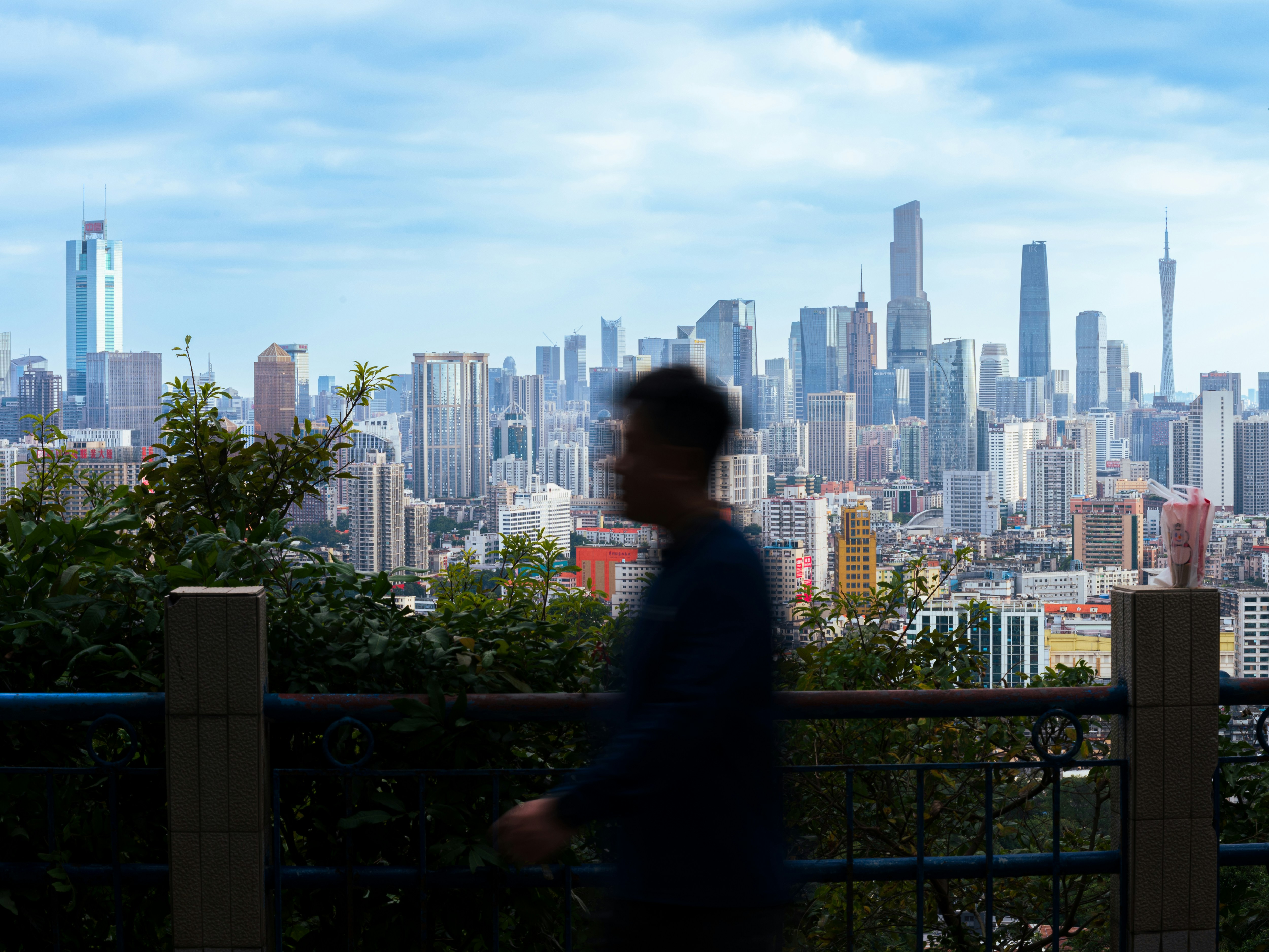 Blurred Foreground, Skyline on the Rise: A Moment Before the Metropolis
