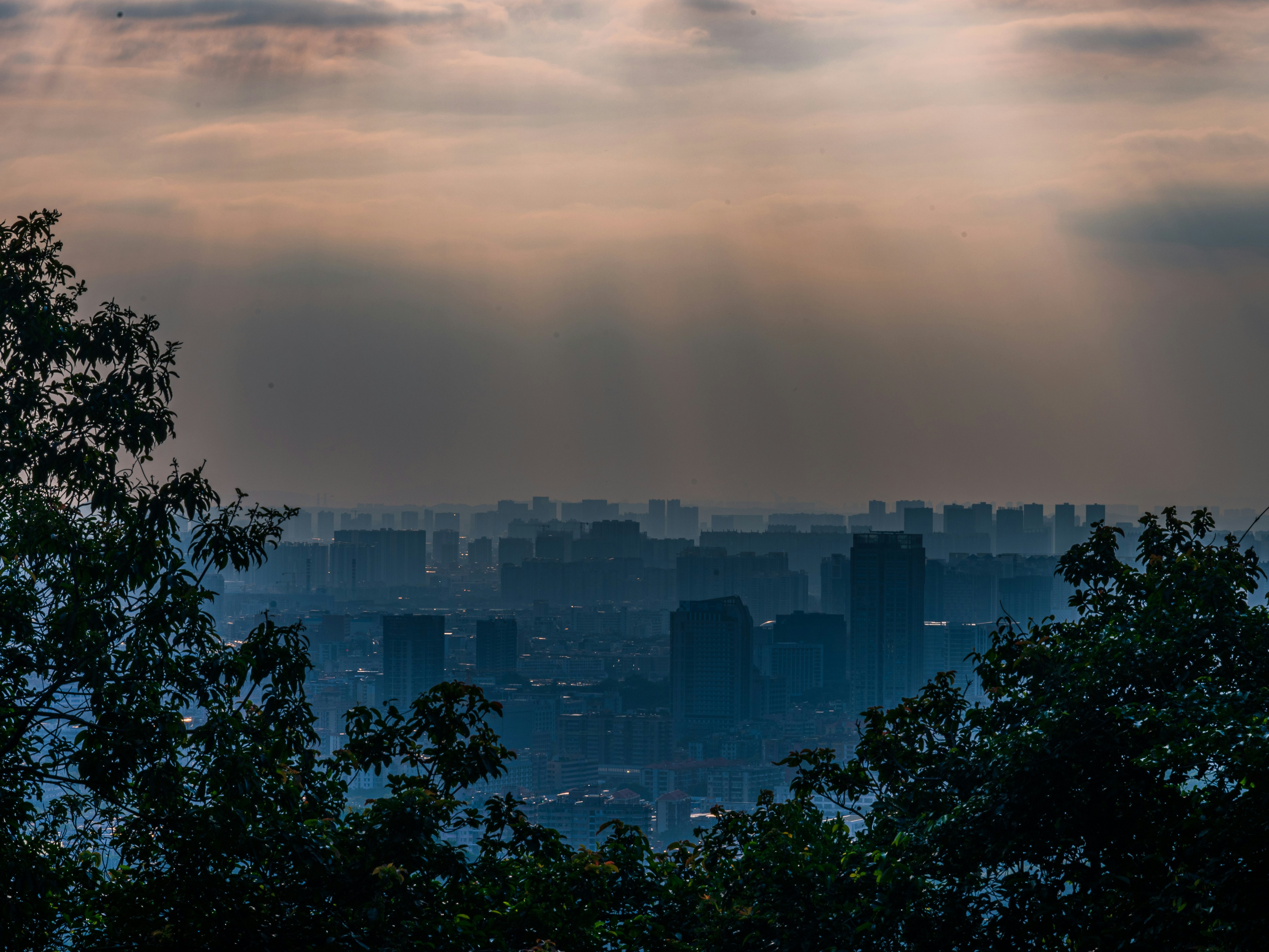 Photo by Zheng XUE with Nikon Z6 III