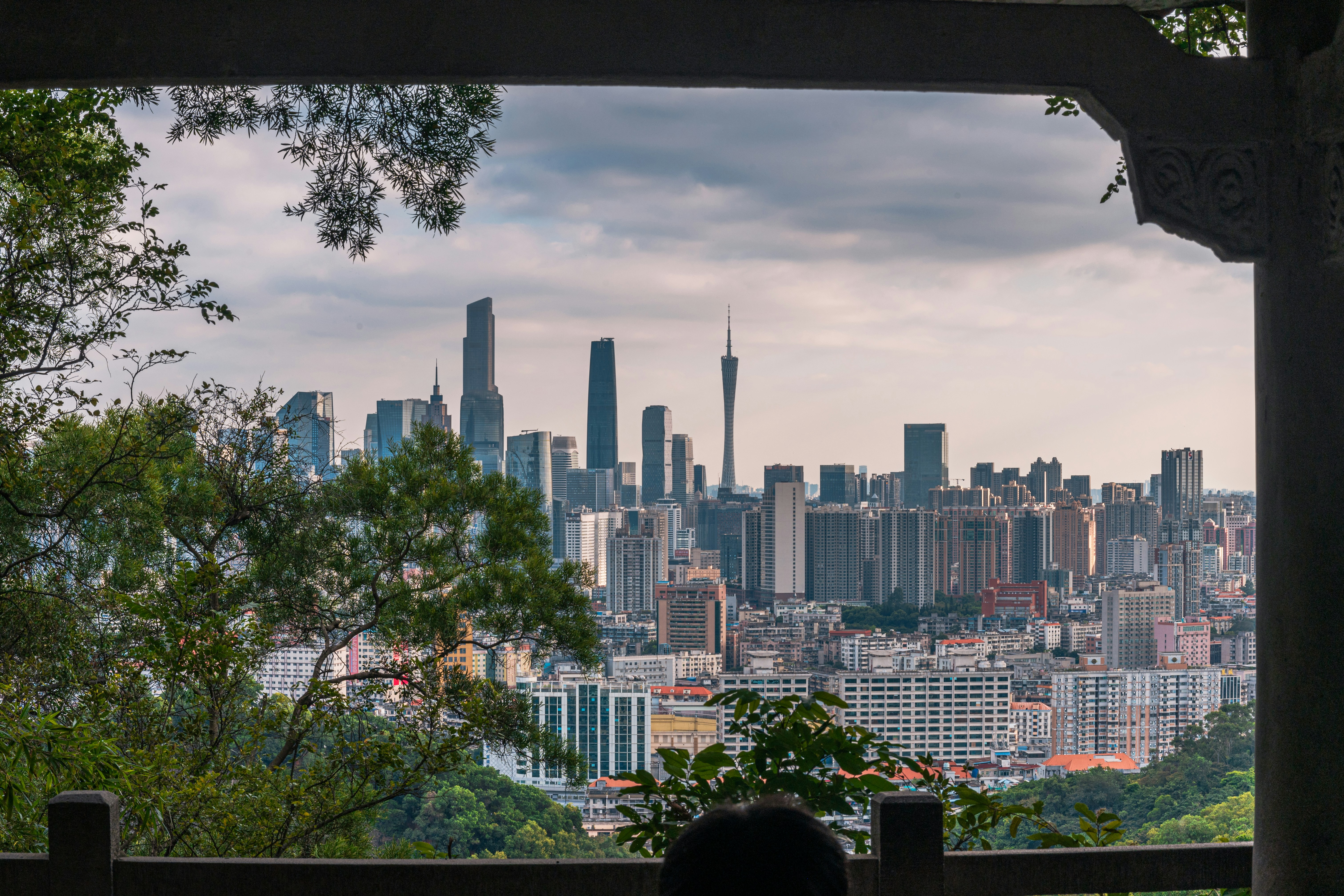 Framed Metropolis: Skyline Emerges from a Quiet Garden Vista