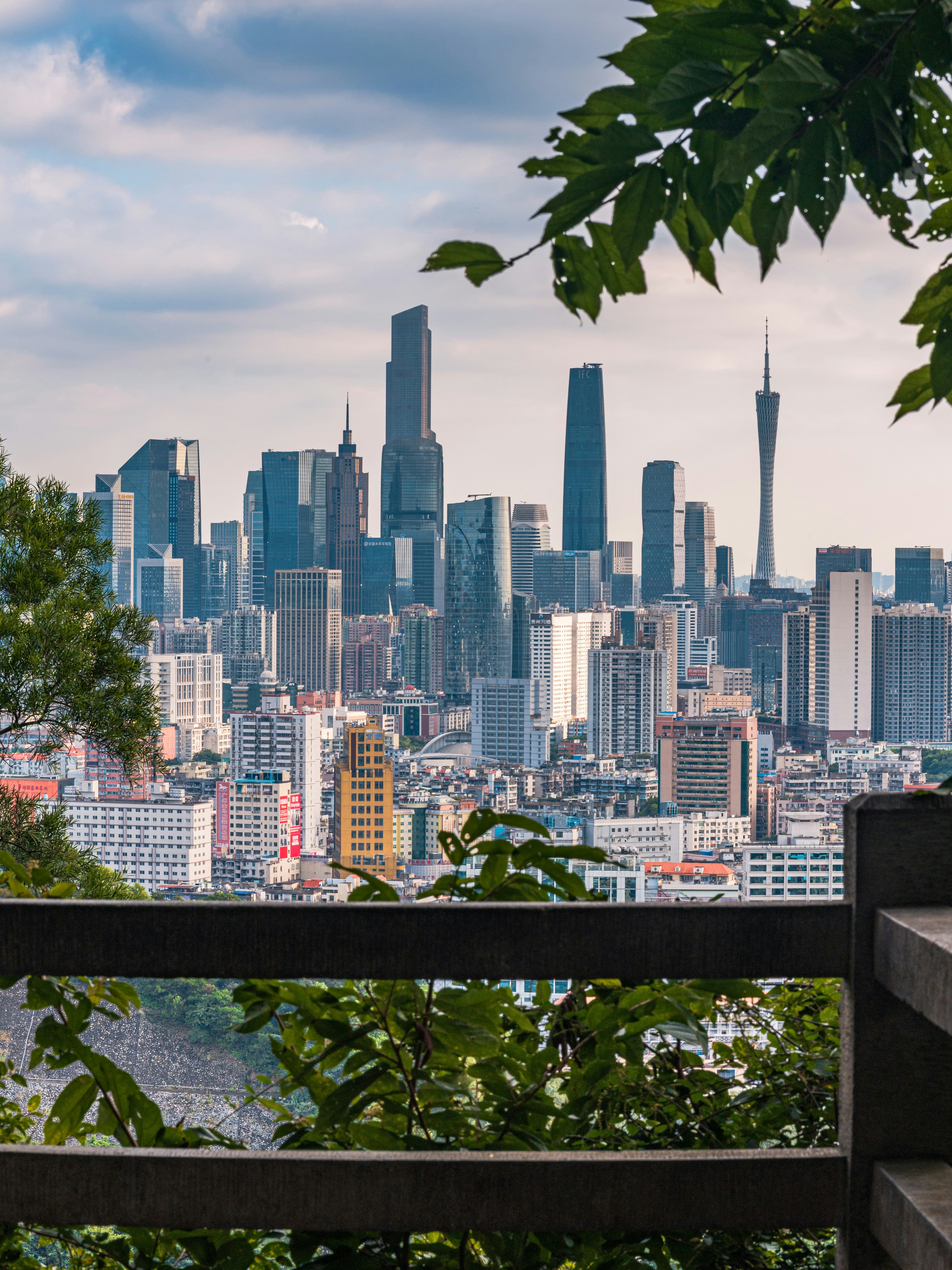 Framed Skyline: A Balcony View of the City's Glass Forest