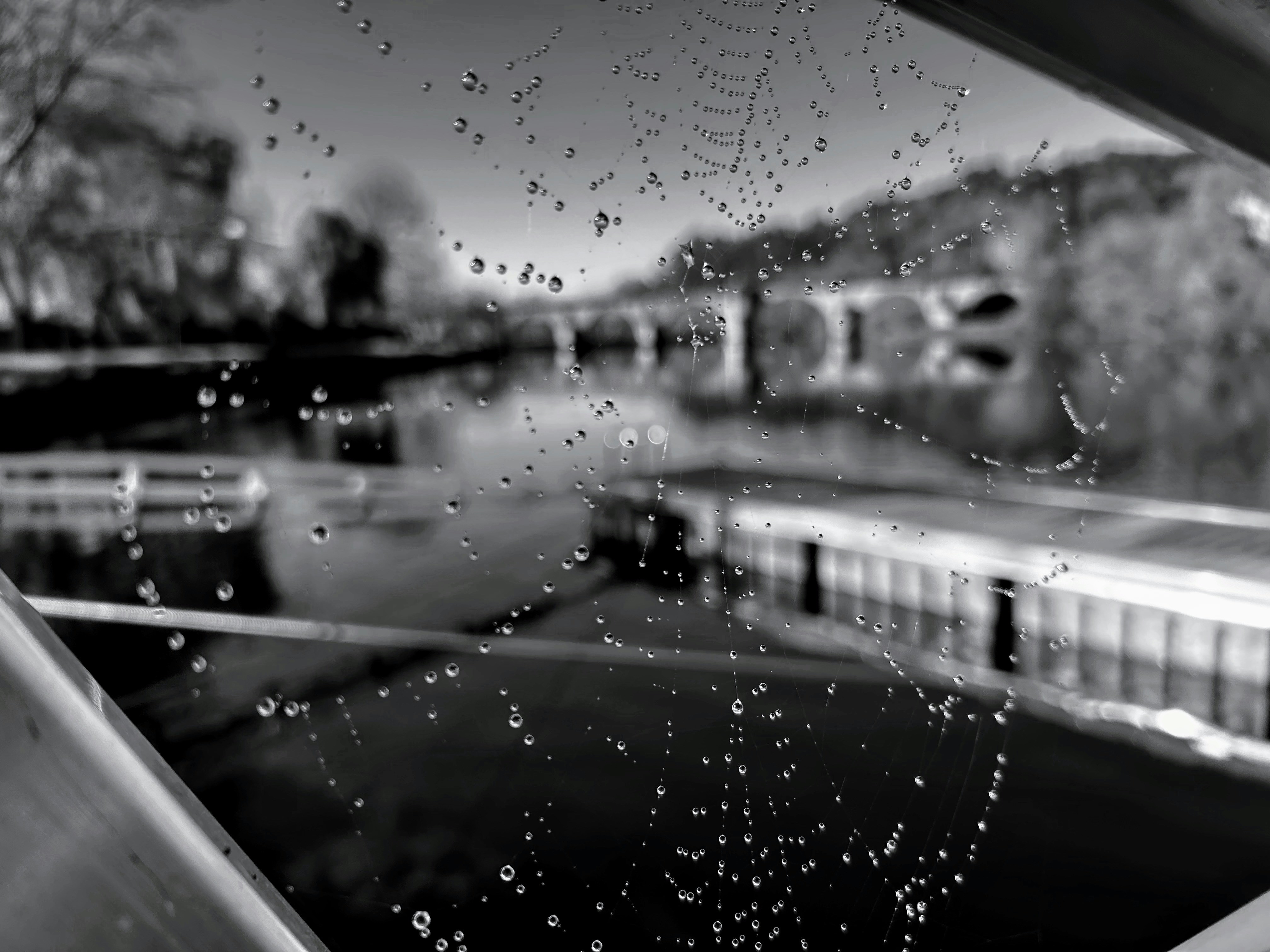 A close-up of a delicate spider web glistening with dewdrops, captured in stunning black and white. The background softly fades into a serene riverside scene with a bridge and trees, creating a beautiful depth-of-field contrast between nature’s intricate detail and the calm landscape beyond.