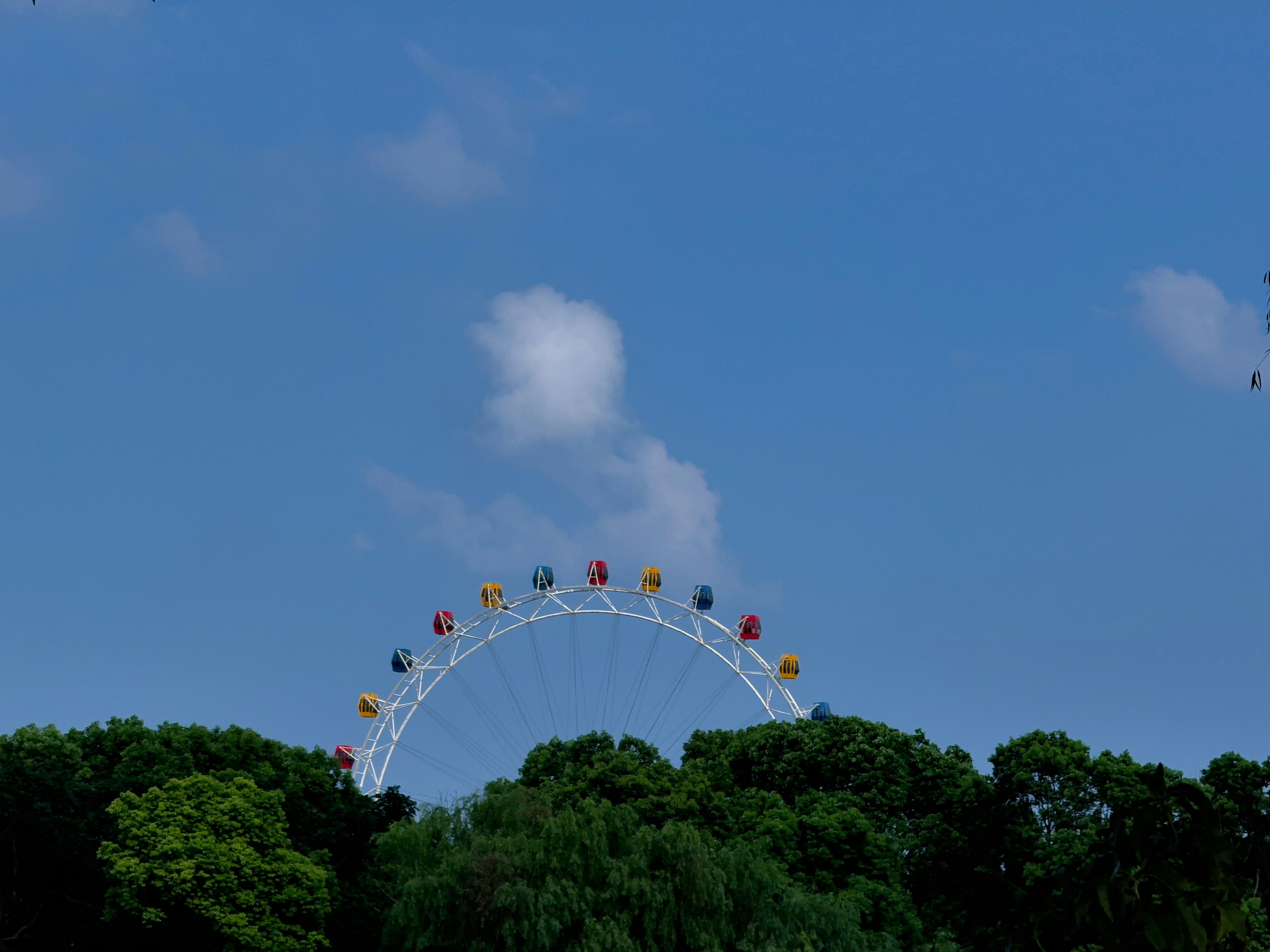 Ferris Wheel Rising Above a Lush Canopy Against a Clear Blue Sky