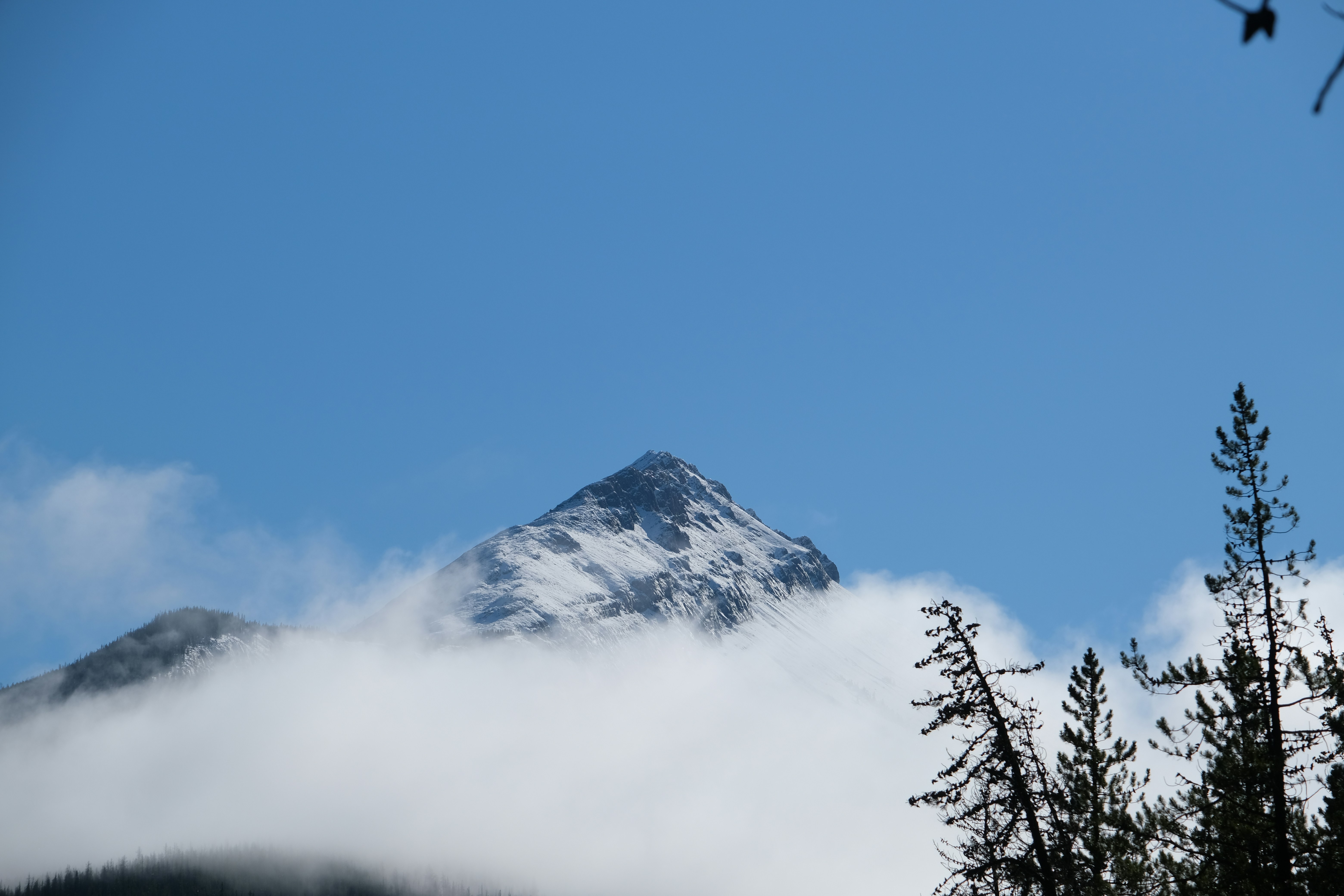 Photo by Anil Baki Durmus with Fujifilm X-T30 II