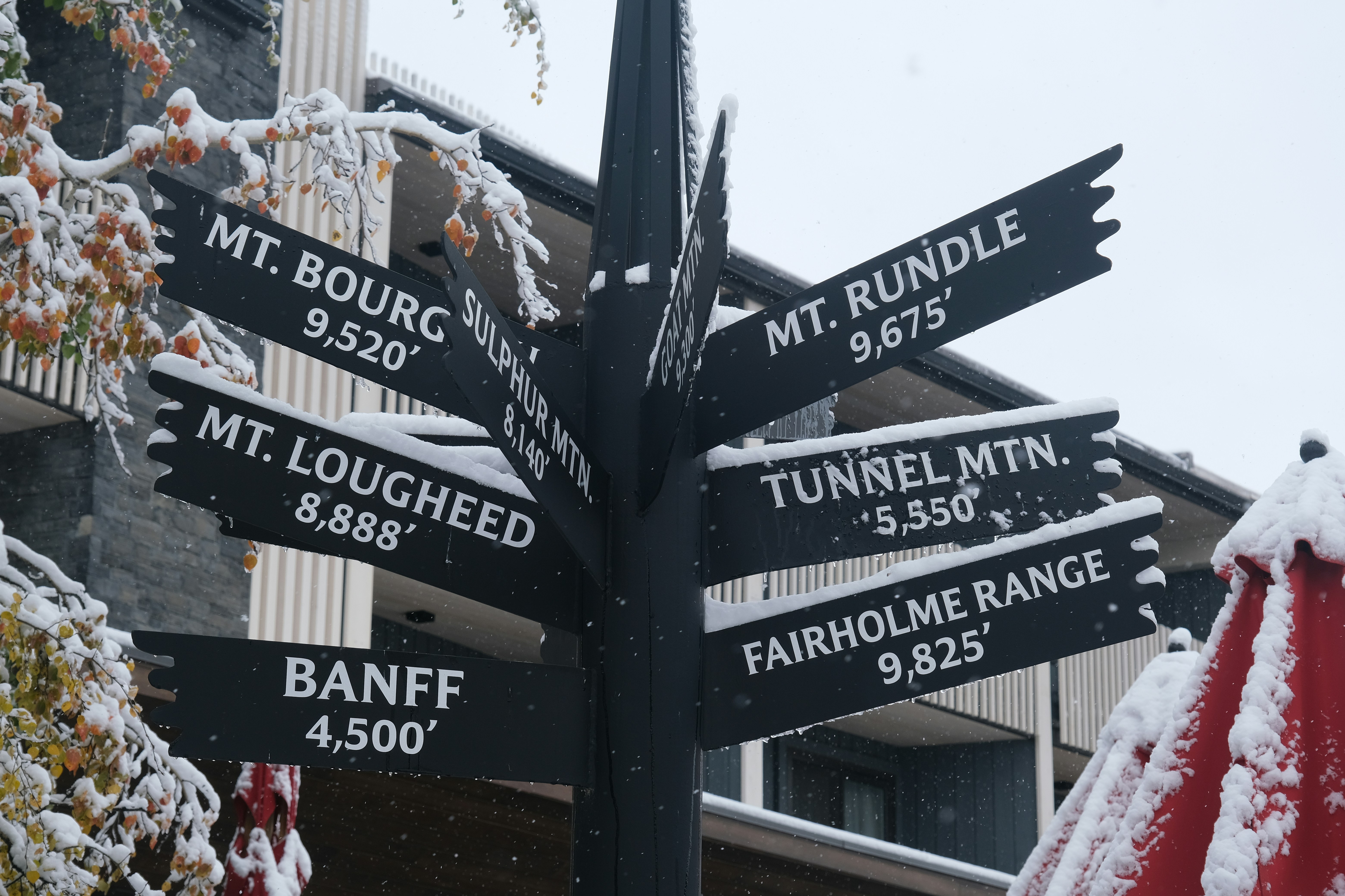 Snowbound Signpost at a Mountain Junction: Banff, Mt. Rundle, and Beyond