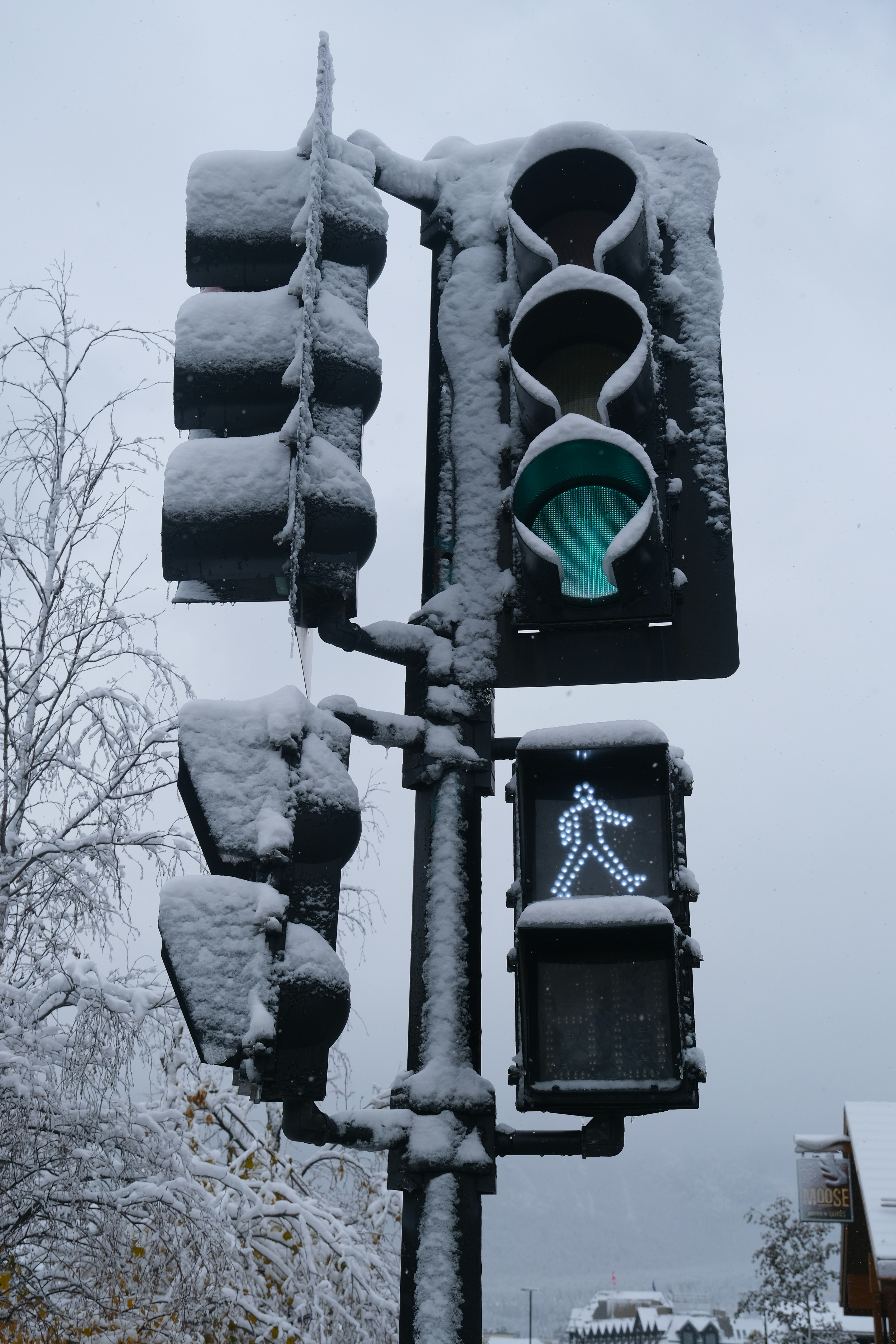 Green Signal Through Snow: Frost-Coated Traffic Lights at a Quiet Winter Crosswalk