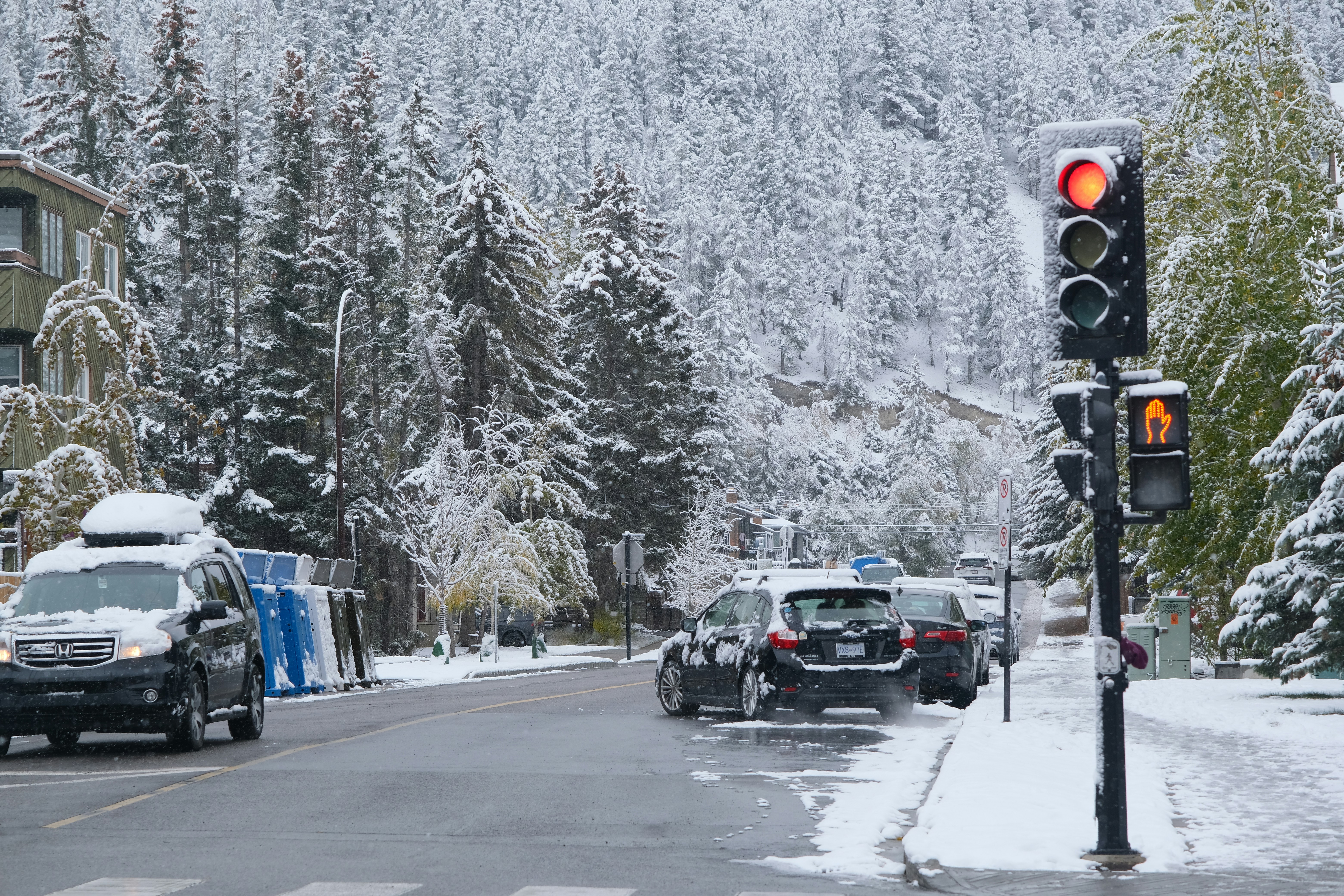 Traffic light on a snowy street with cars. photo – Free Winter Image on ...