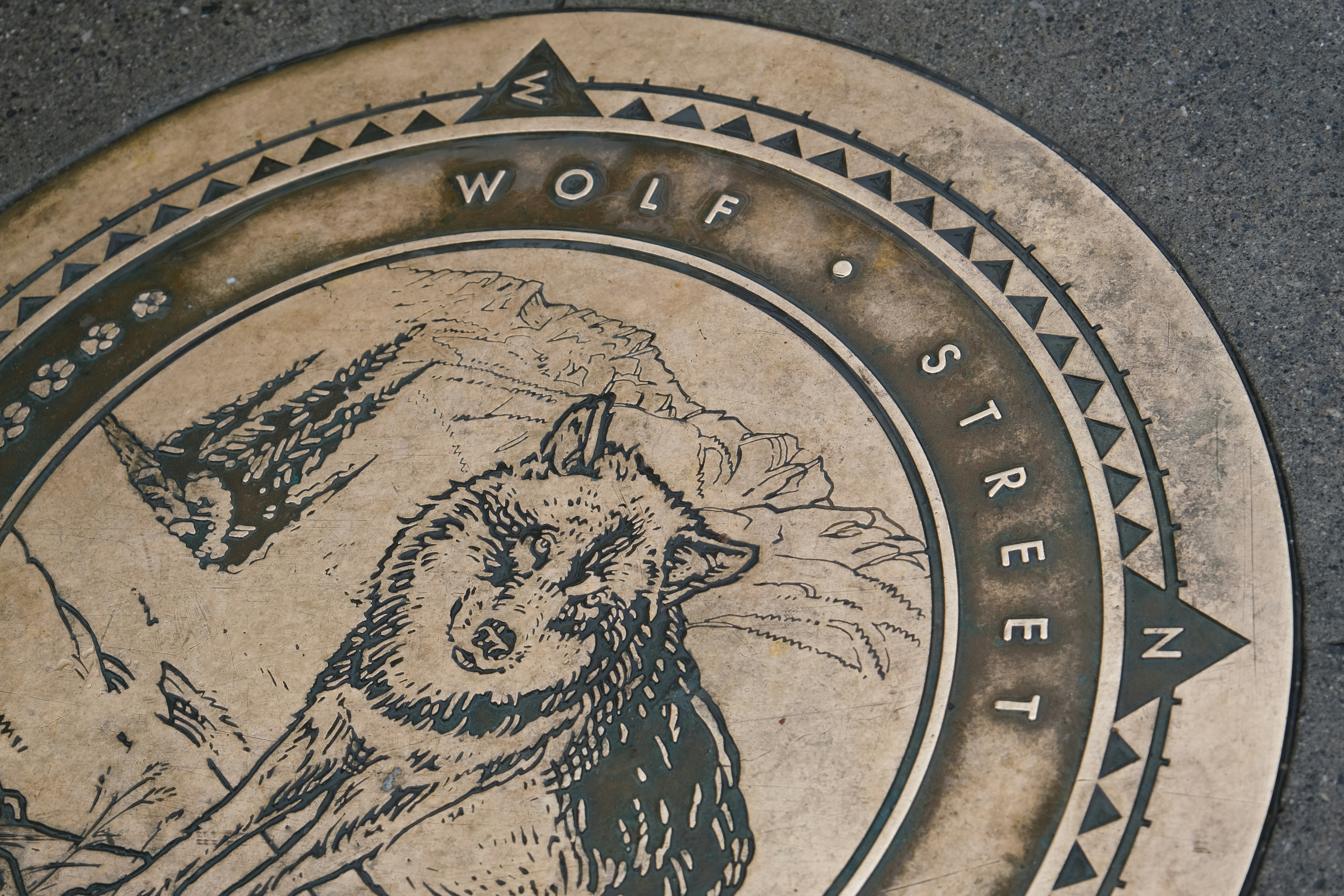 Photo by Anil Baki Durmus with Fujifilm X-T30 II