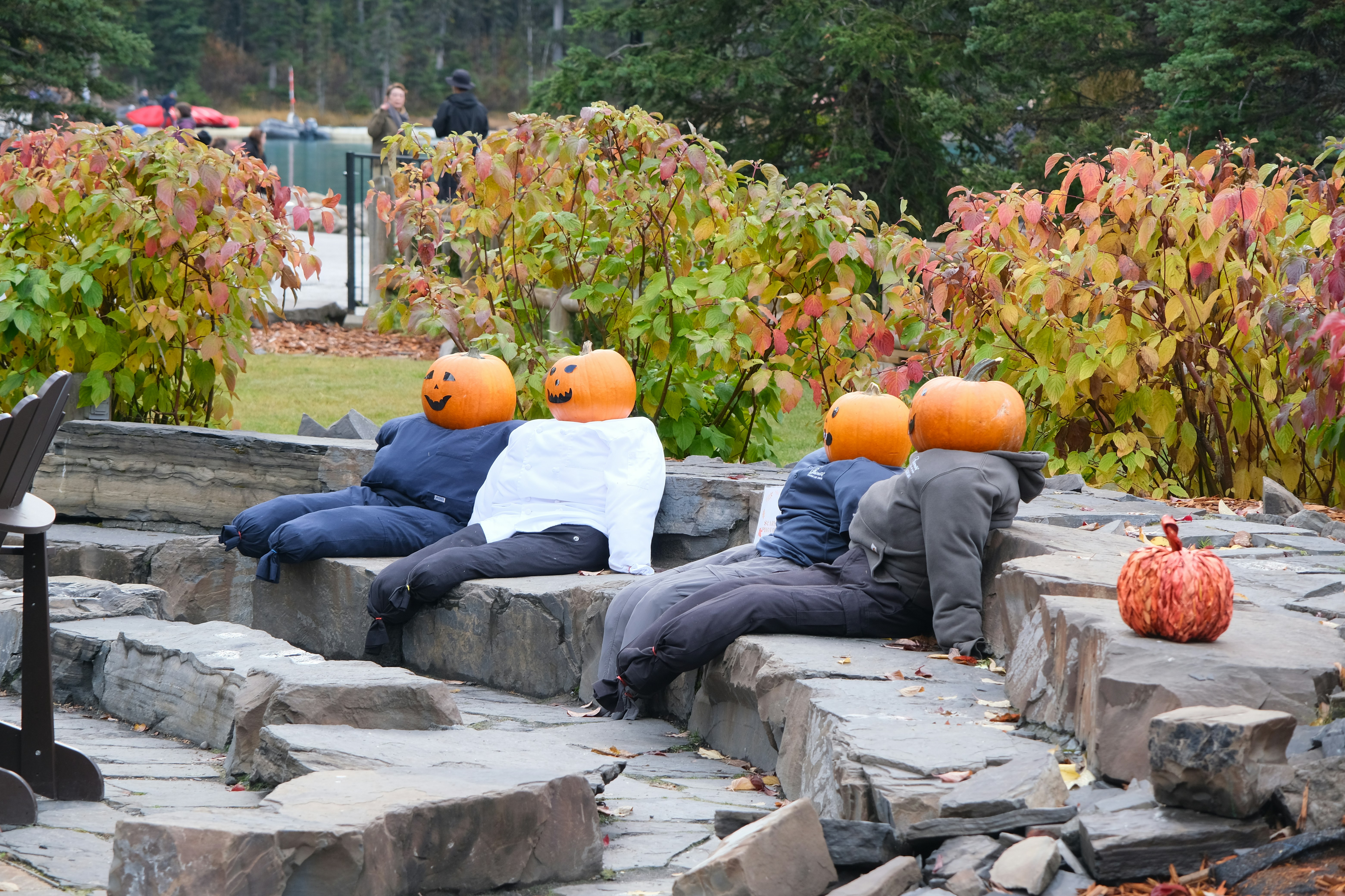 Photo by Anil Baki Durmus with Fujifilm X-T30 II