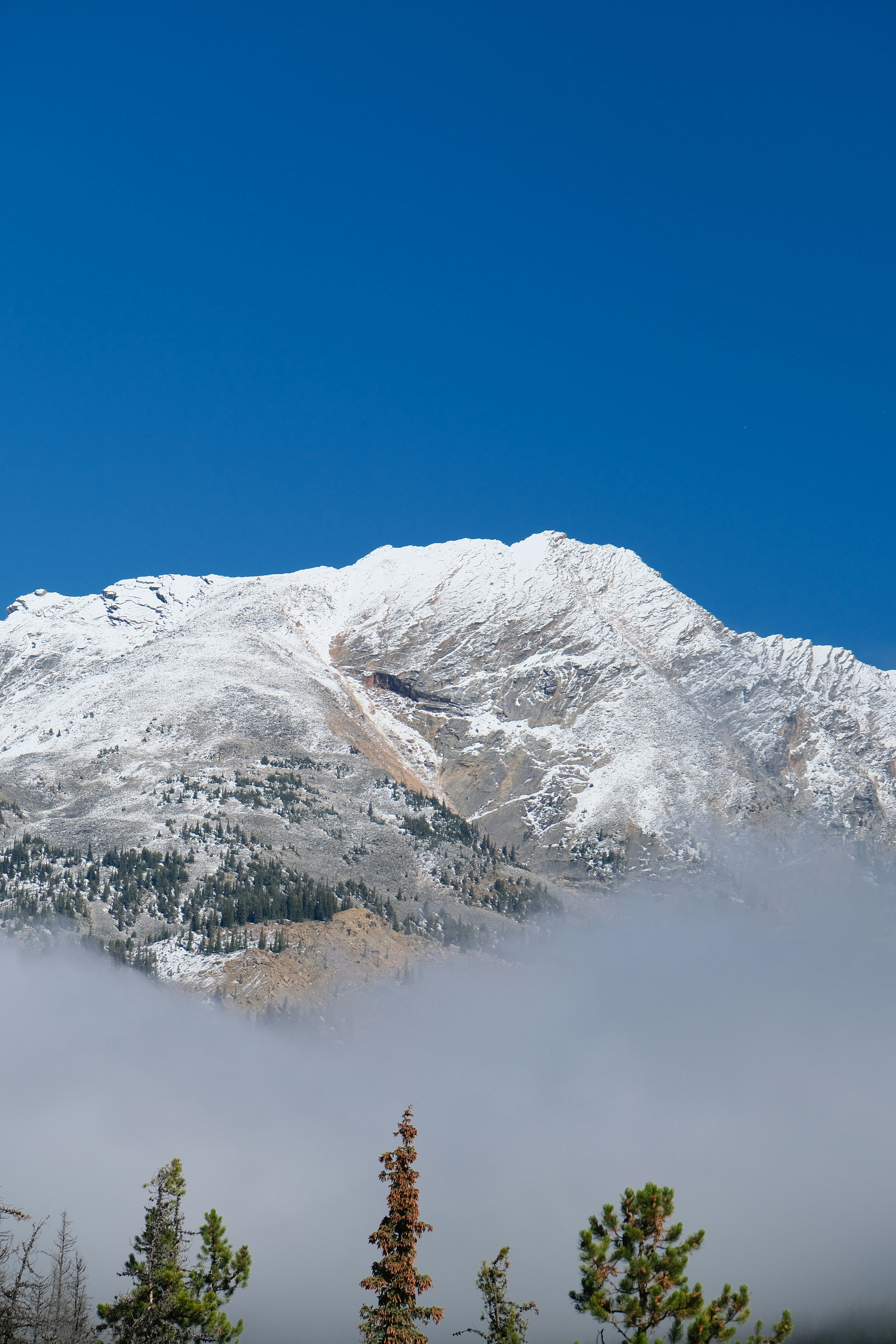 Photo by Anil Baki Durmus with Fujifilm X-T30 II