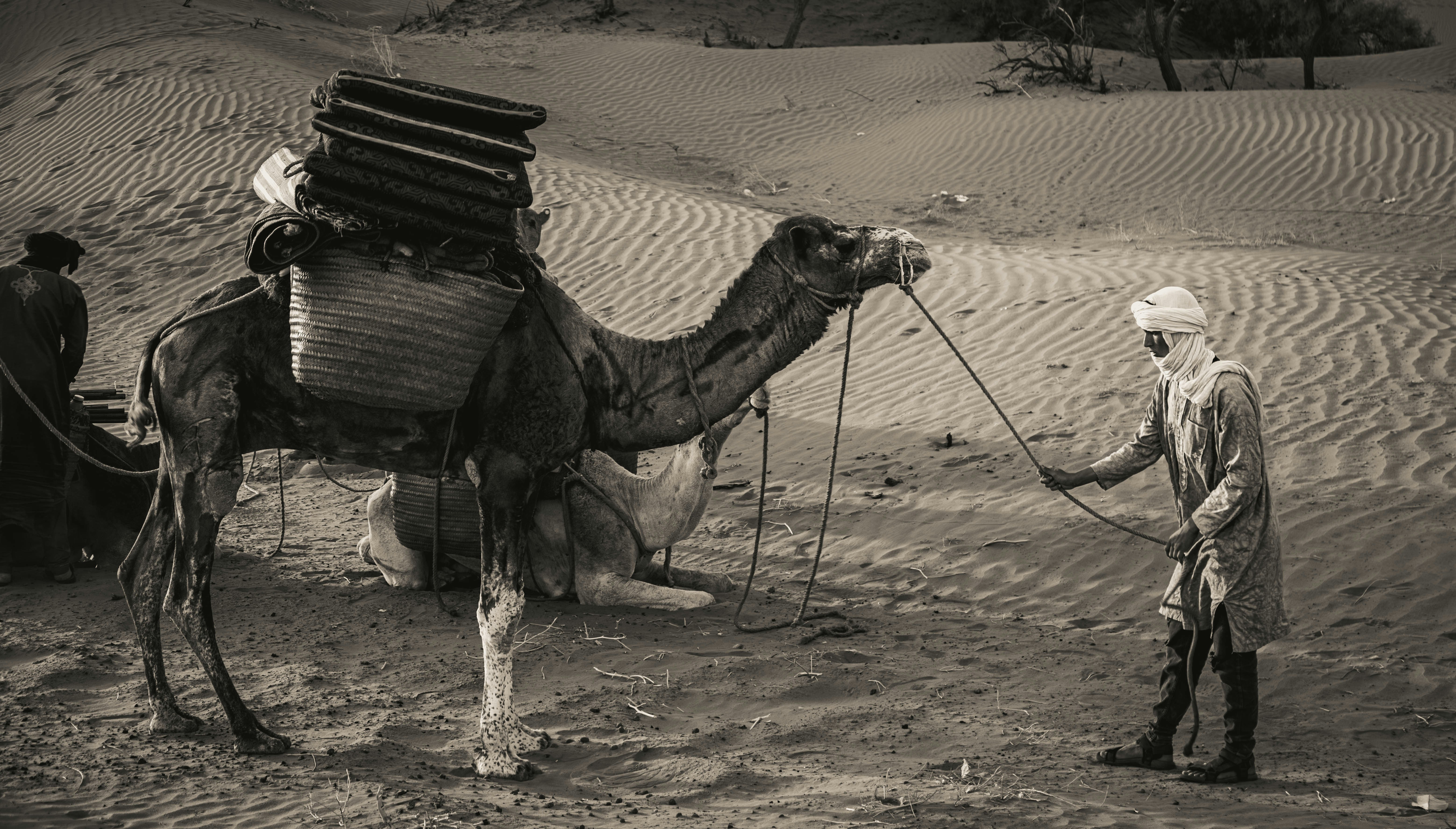Whispered Commands Under Dunes: A Desert Caravan's Silent Pact
