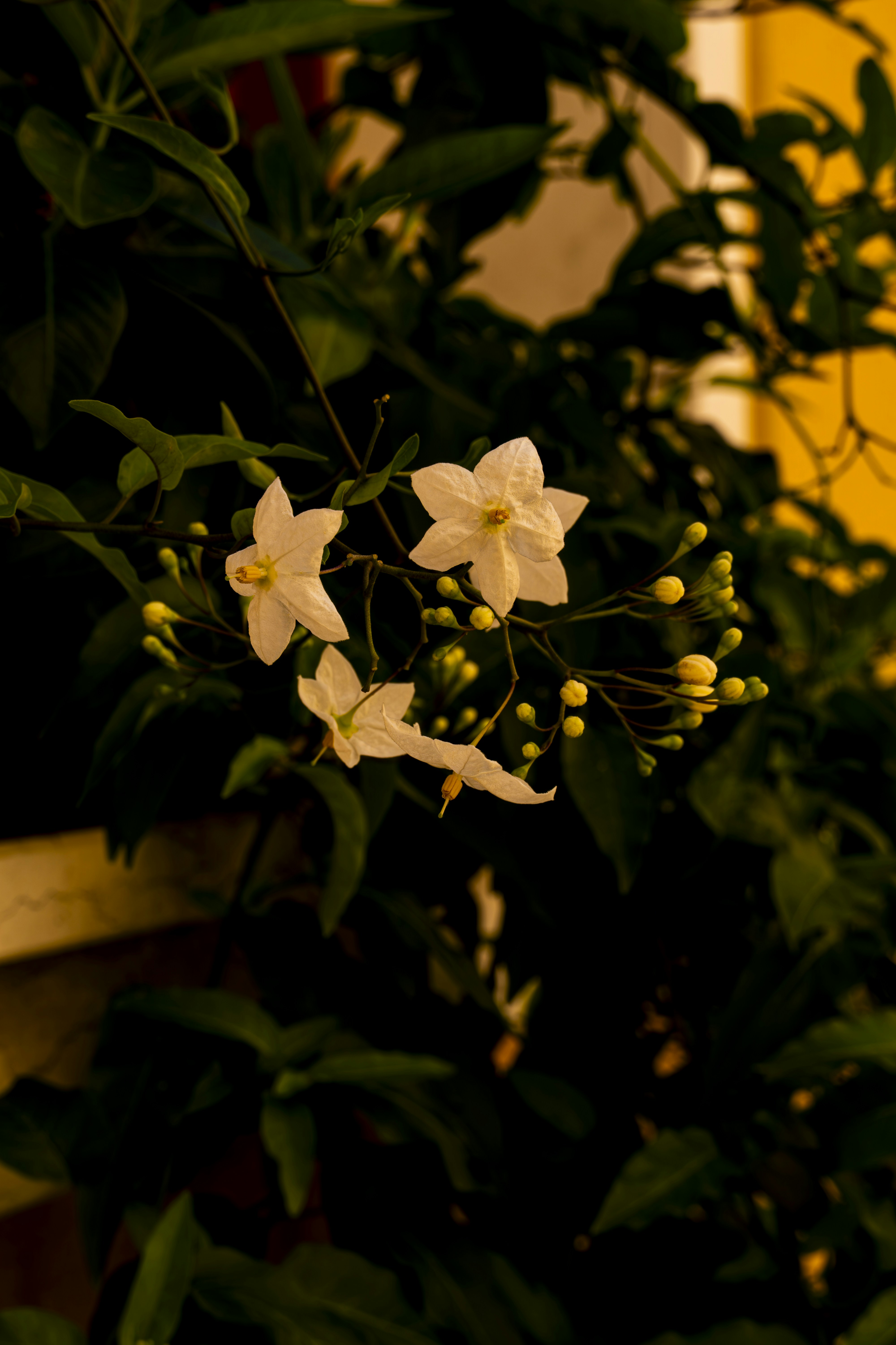 Photo by Amin with Sony Alpha 6400